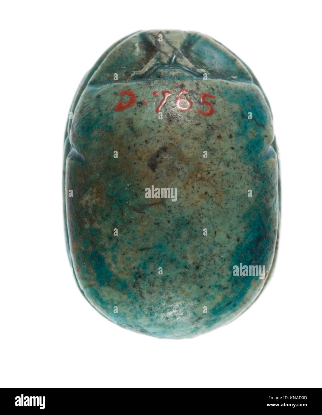 Prostrate form hi-res stock photography and images - Alamy