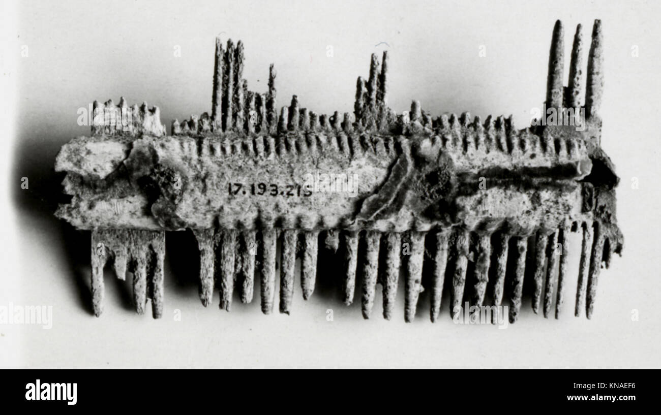 This 7th-century Frankish double-sided comb is made of bone with iron ...