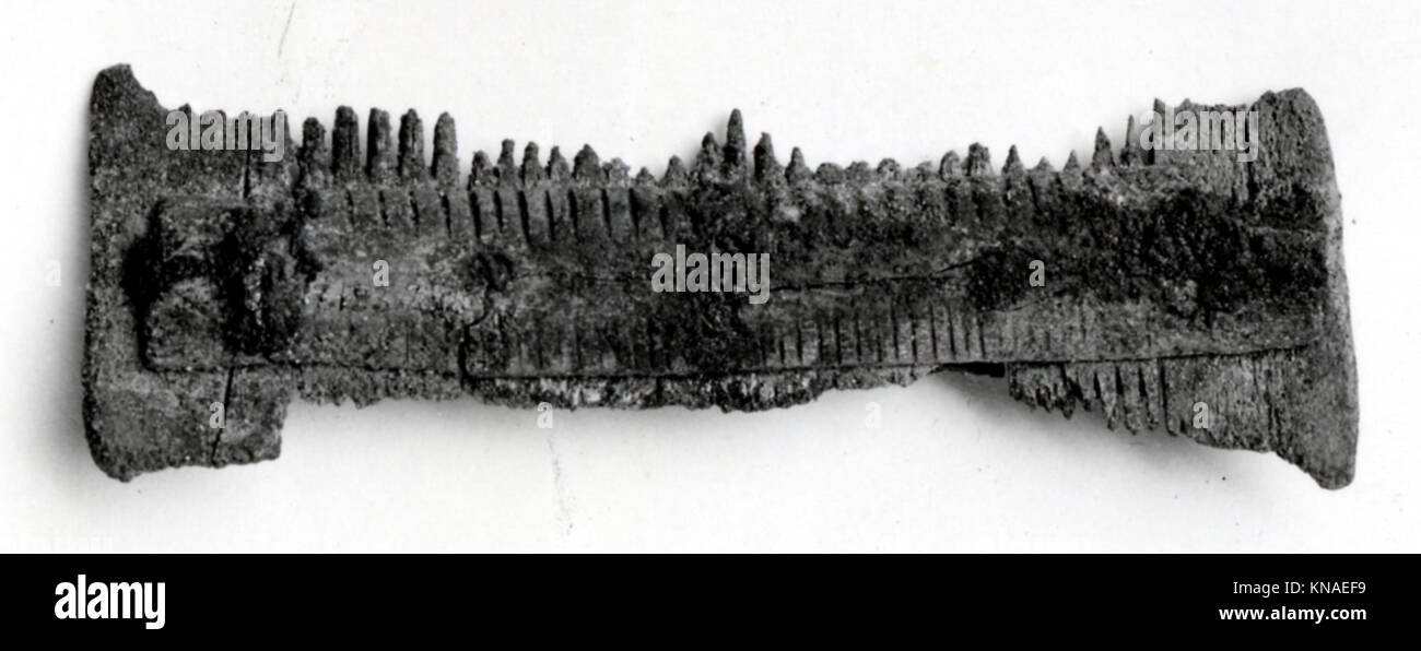 This 7th-century Frankish double-sided comb is made of bone with iron ...