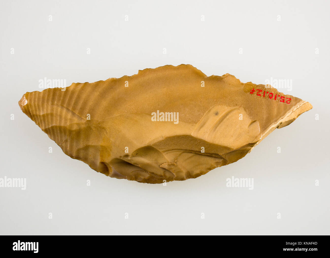 This arrowhead is a prehistoric tool, designed for hunting and warfare ...