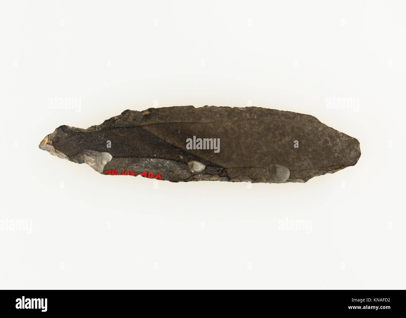 A sickle blade, part of a larger agricultural tool, dating to ancient ...