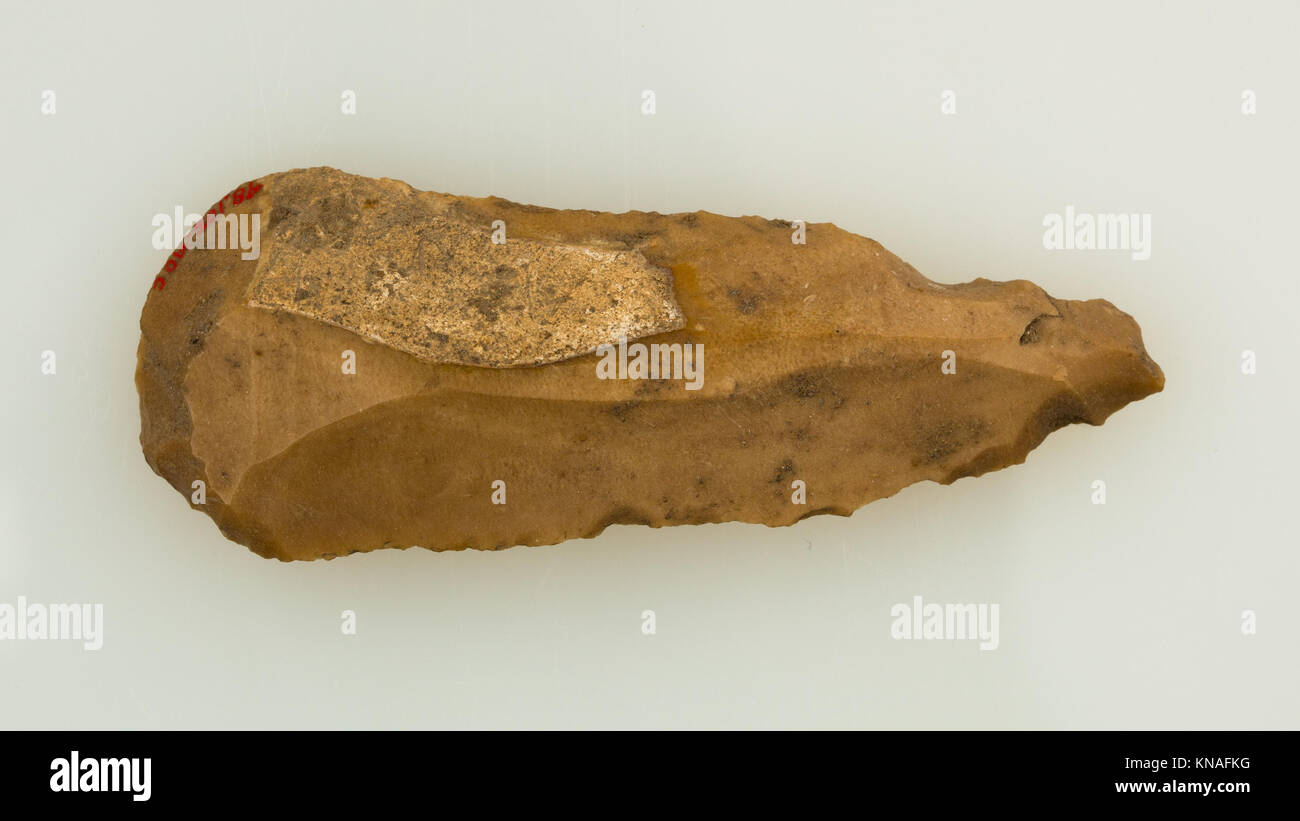 This biface, a prehistoric tool, was used by early humans for cutting ...