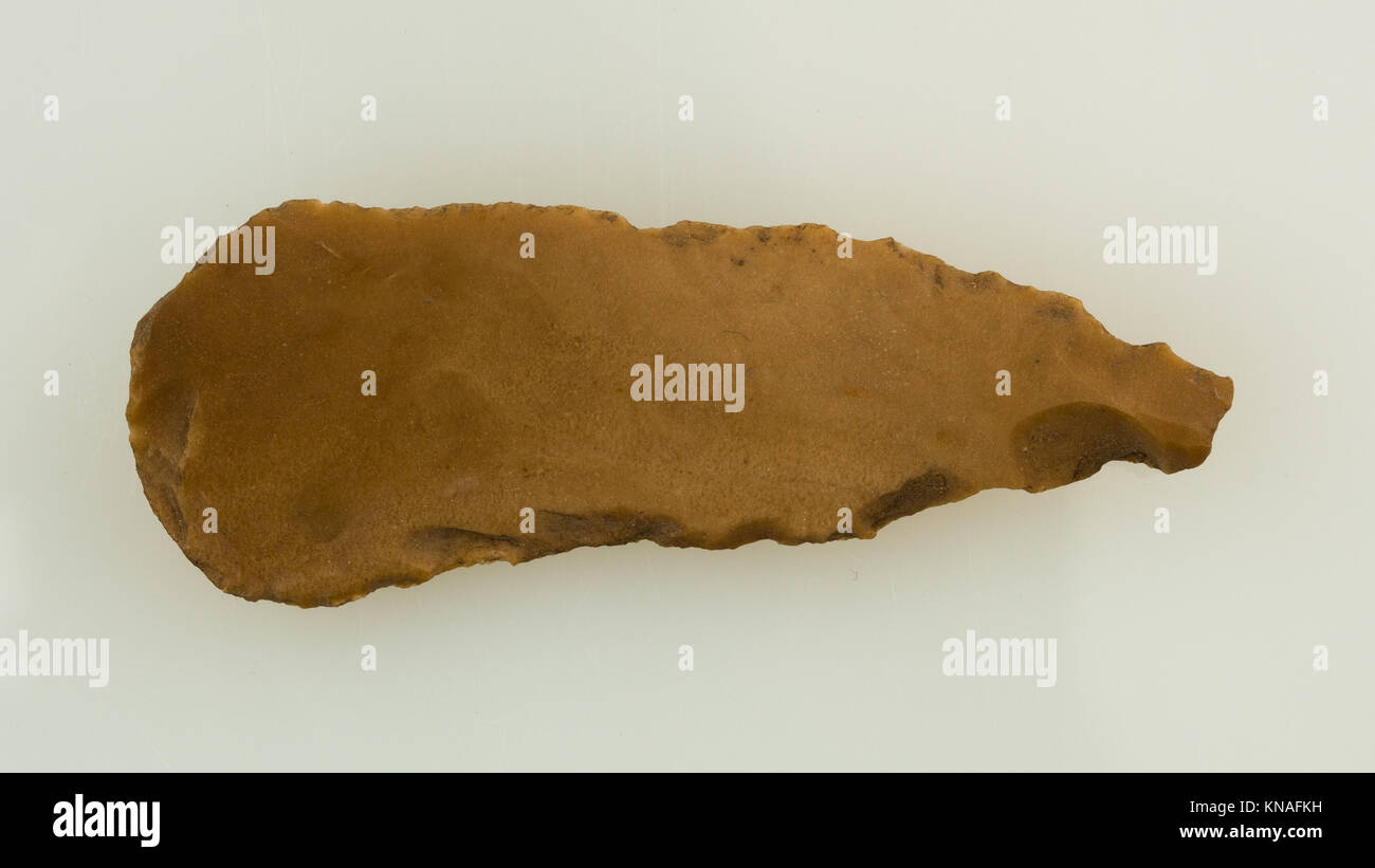 This biface tool, dating back to the prehistoric era, represents early ...