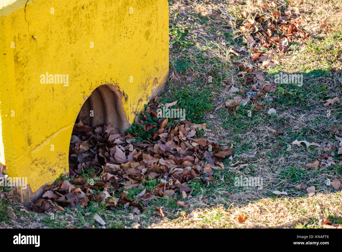 A yellow drainage concrete surround enclosing a tin whistle culvert ...