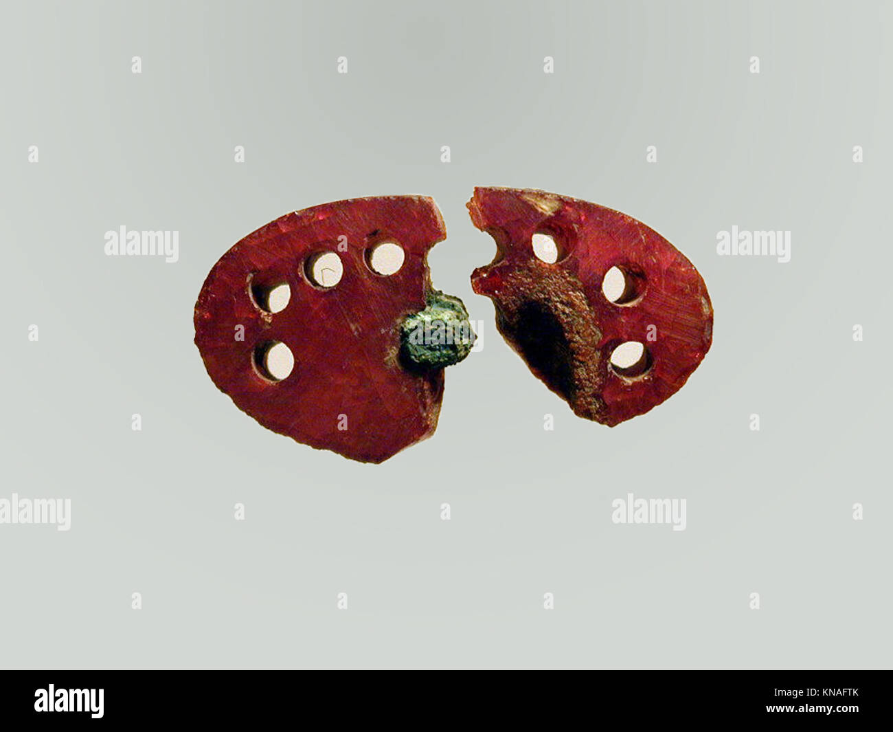 This fibula fragment MET sf969490 features illustrations and editorial ...
