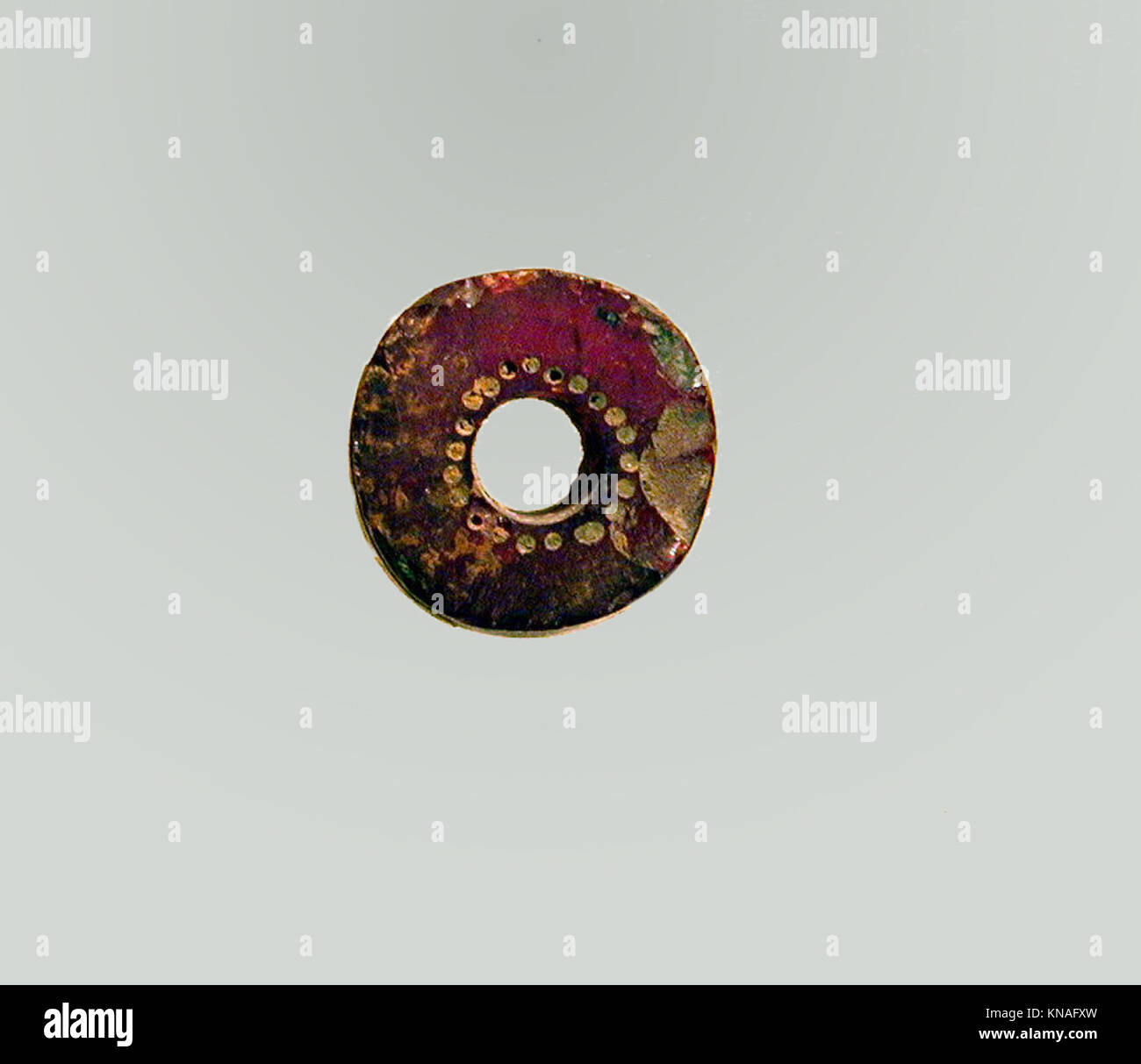Fibula fragment hi-res stock photography and images - Alamy