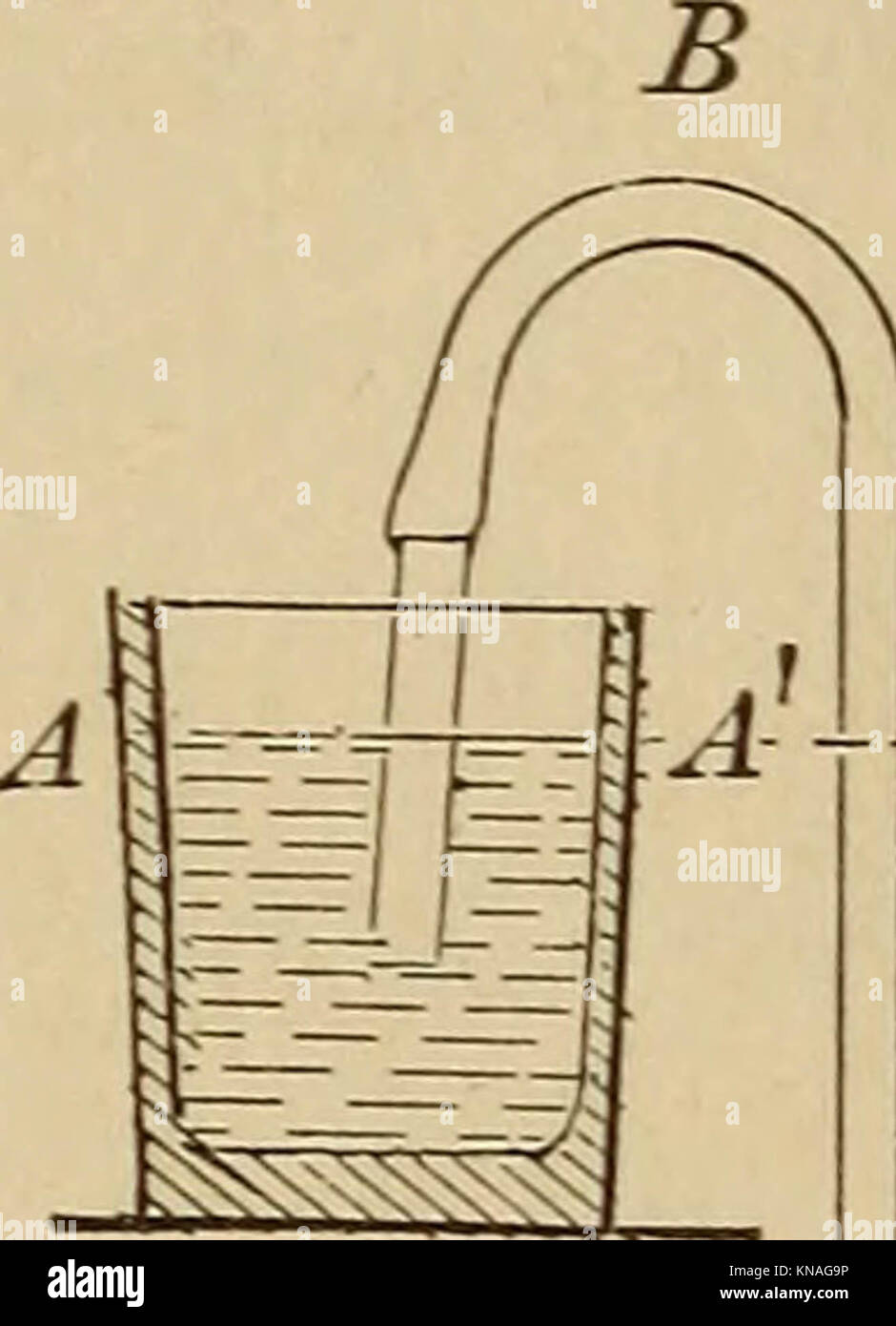 "Laboratory lessons in general science" (1916 Stock Photo - Alamy
