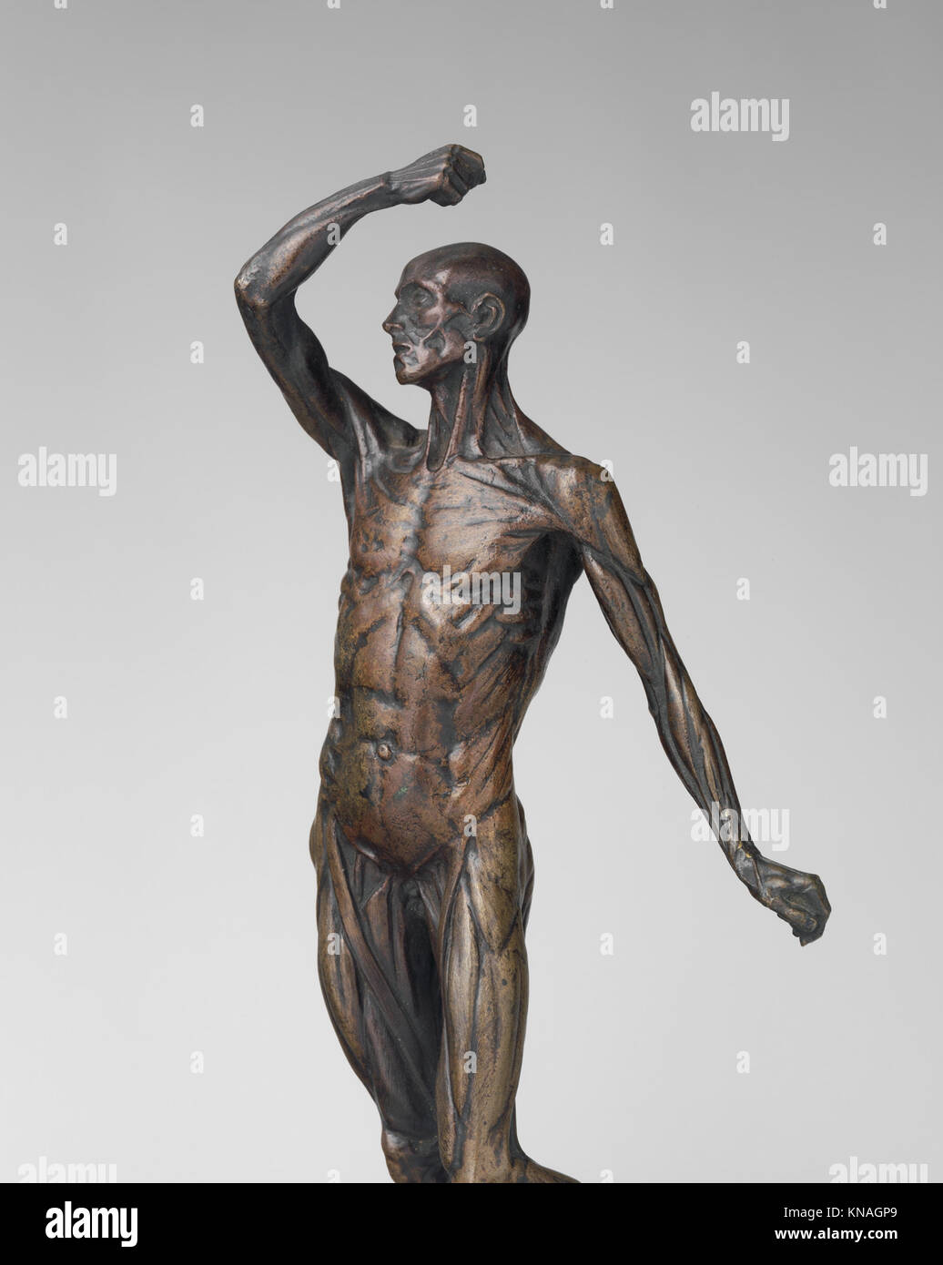 The 'Ecorch' sculpture presents a flayed human body, illustrating ...