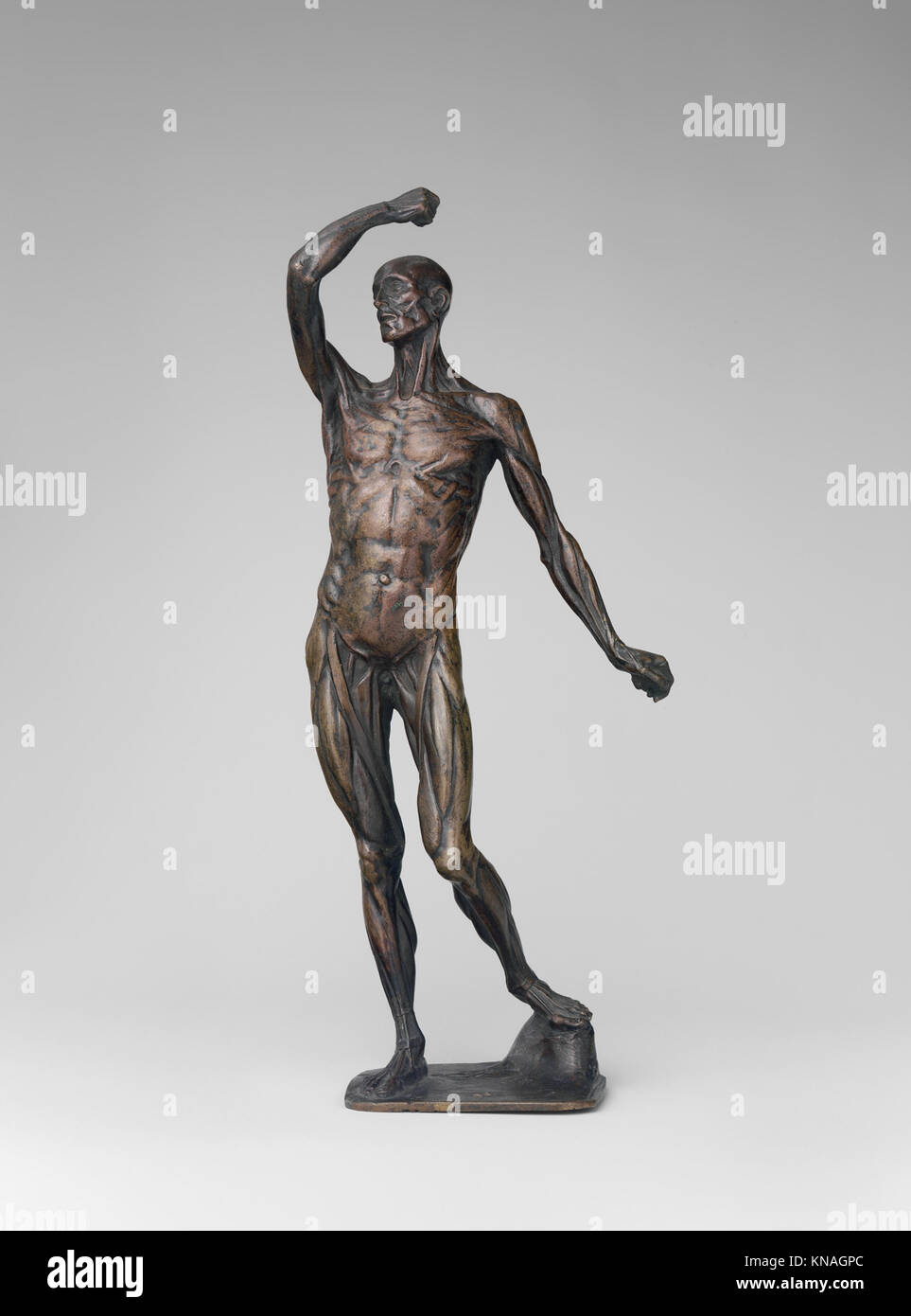 The sculpture titled 'Ecorch' depicts the human form in an anatomical ...