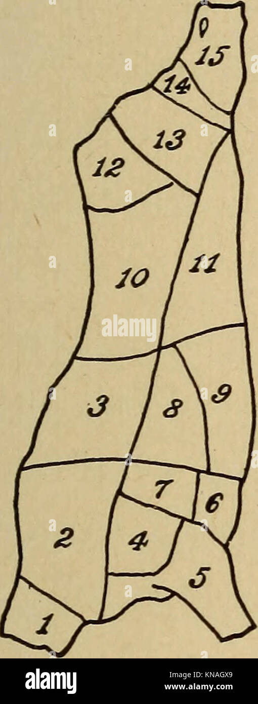 "Laboratory lessons in general science" (1916 Stock Photo - Alamy