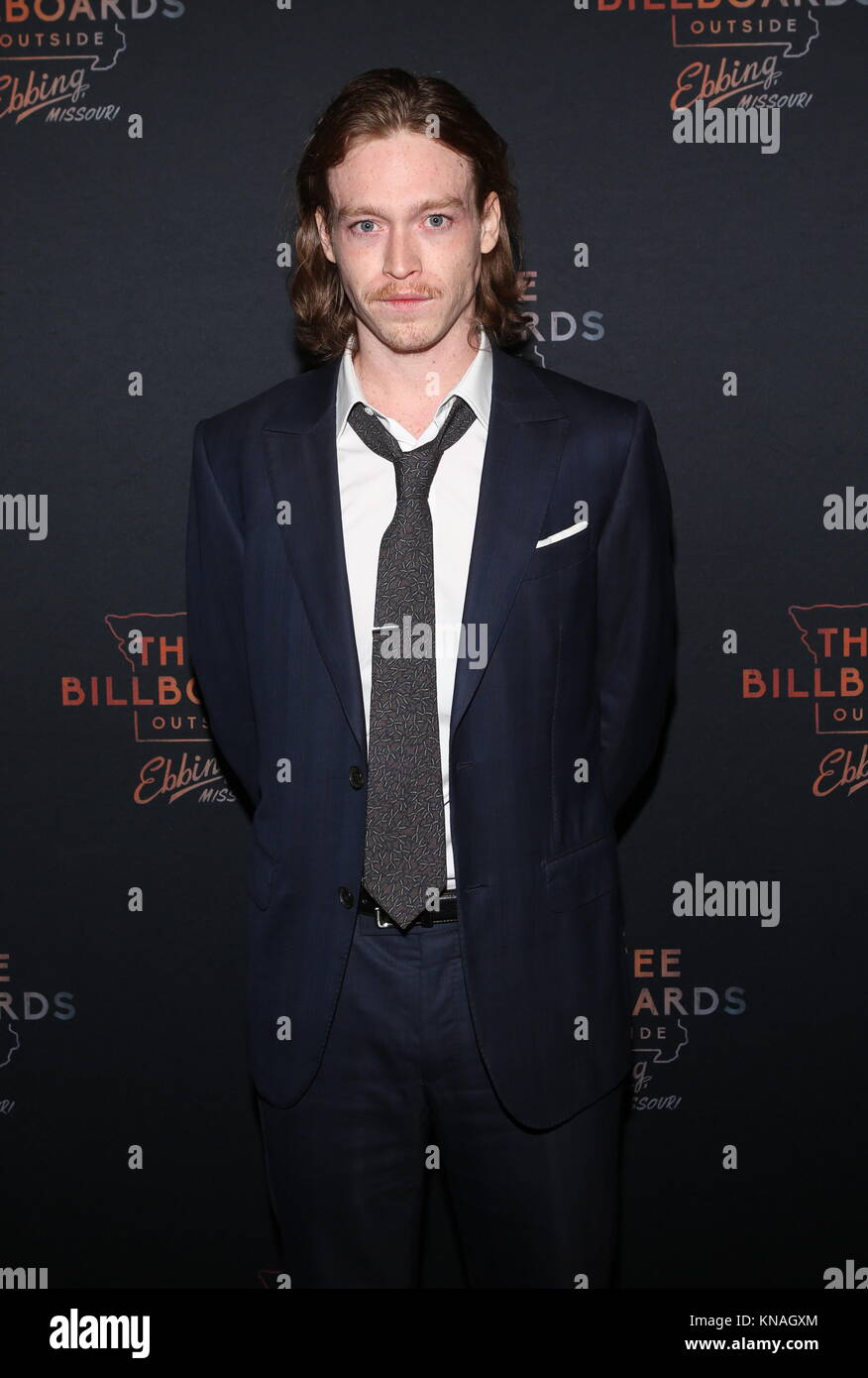 New York premiere of 'Three Billboards Outside Ebbing, Missouri' at BAM ...