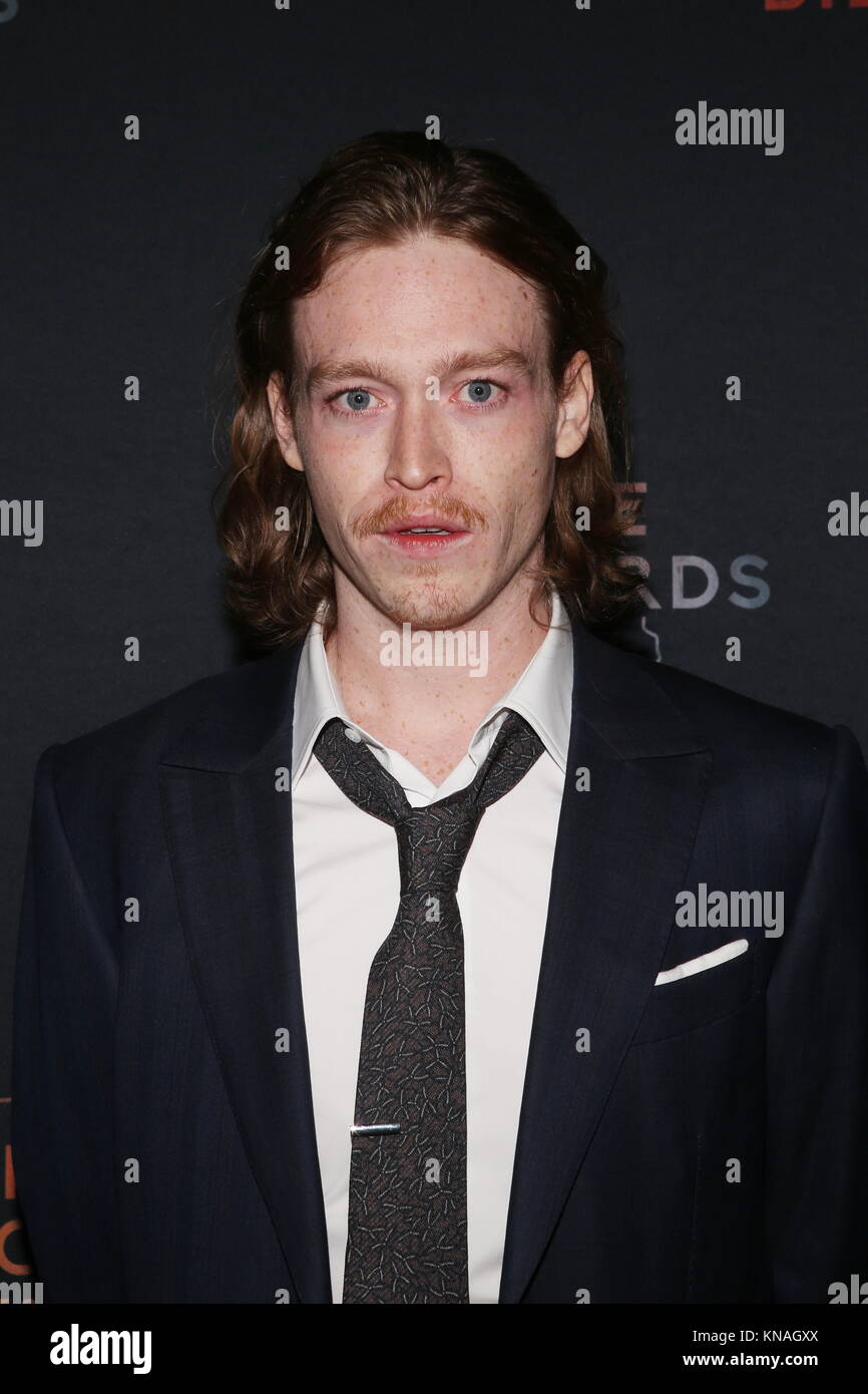 New York premiere of 'Three Billboards Outside Ebbing, Missouri' at BAM ...