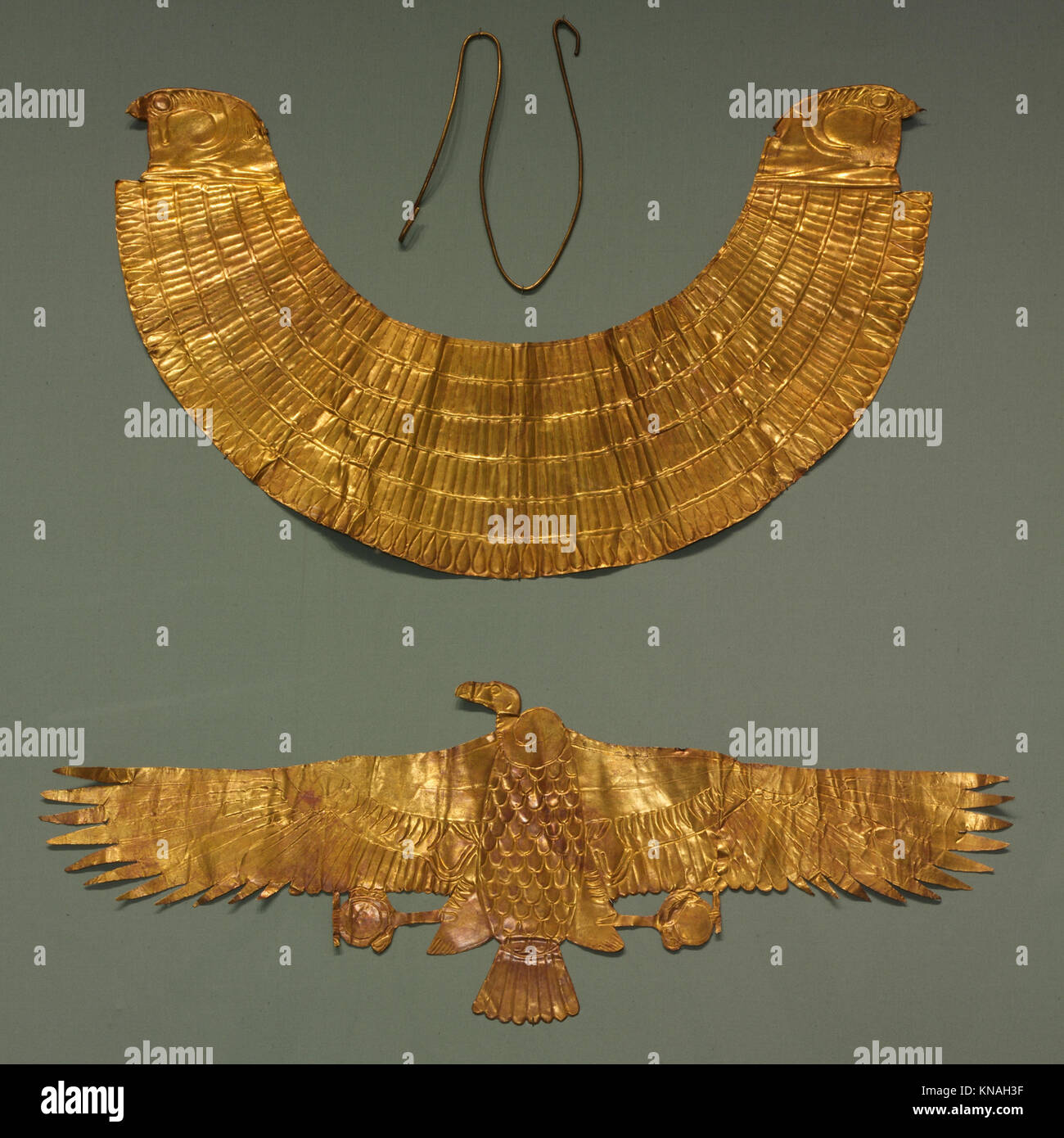 Falcon collar hi-res stock photography and images - Alamy