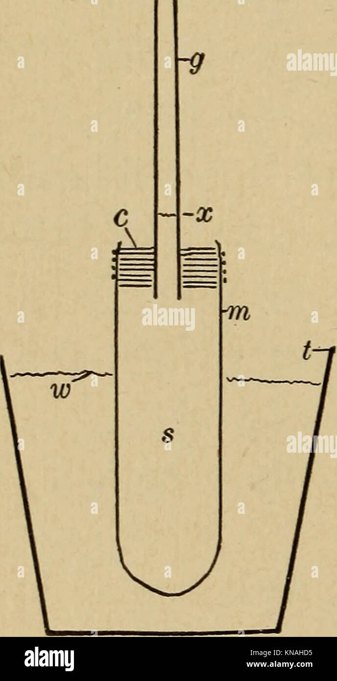 "Laboratory lessons in general science" (1916 Stock Photo - Alamy