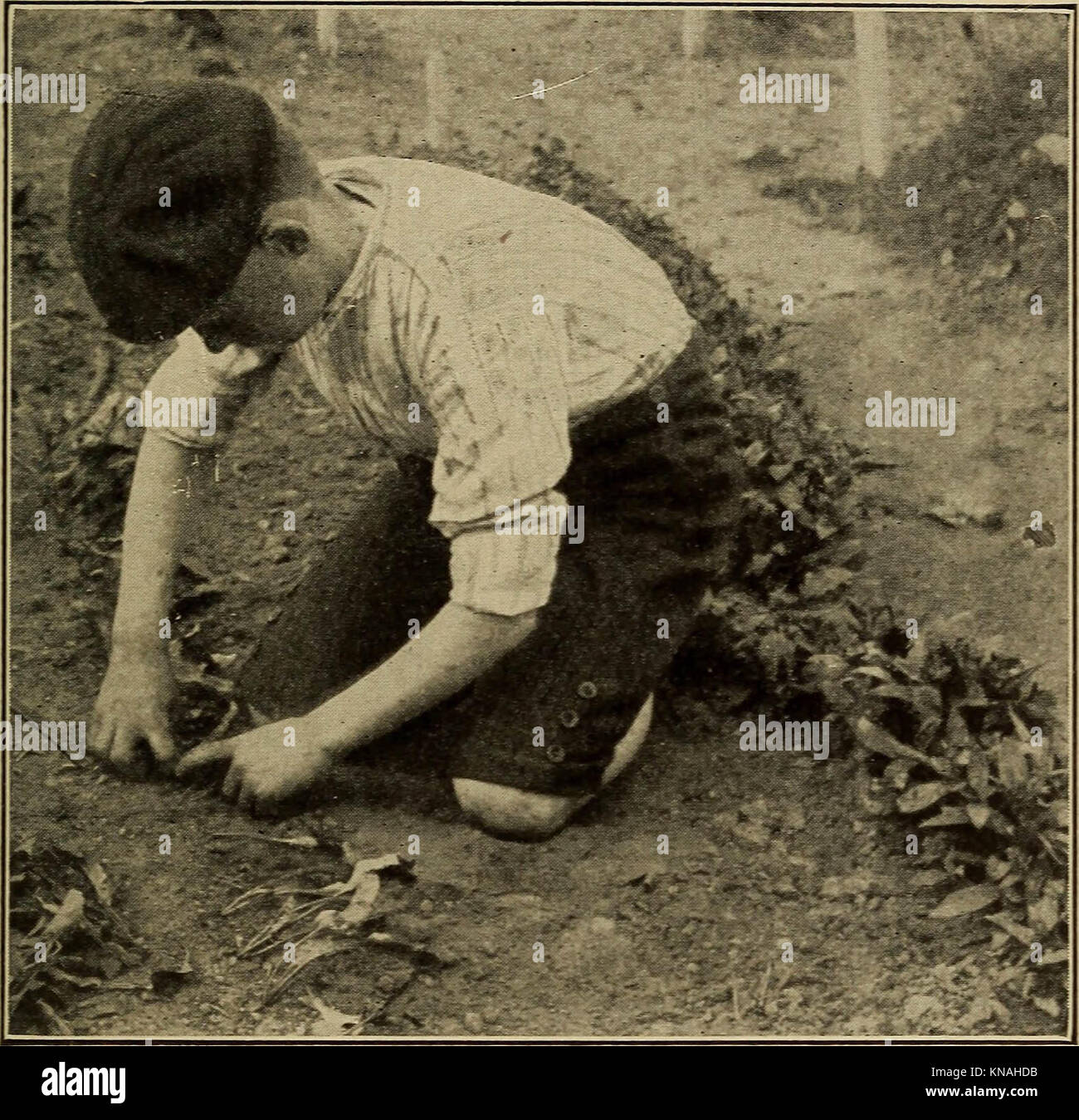 "Laboratory lessons in general science" (1916 Stock Photo - Alamy