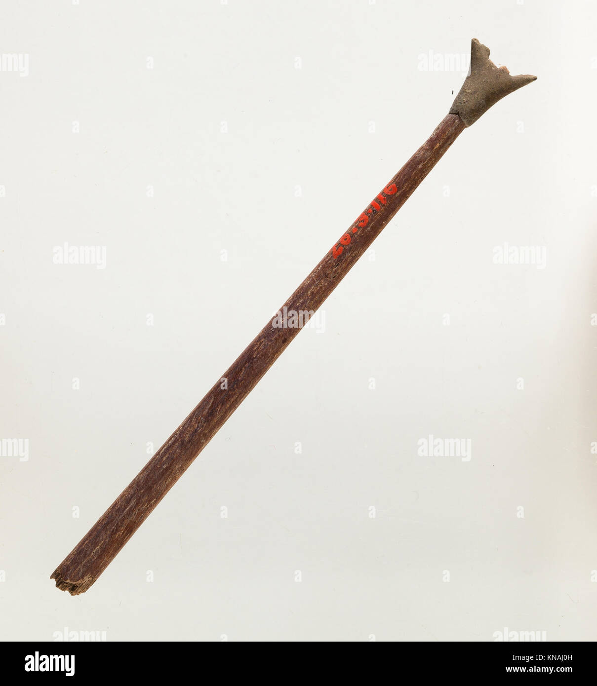This arrow tip is a finely crafted artifact, made from stone, metal, or ...