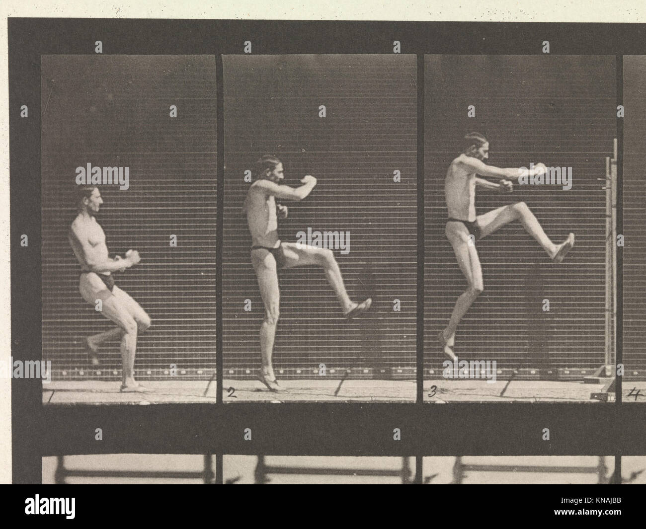 'Animal Locomotion' is a photographic study by Eadweard Muybridge ...