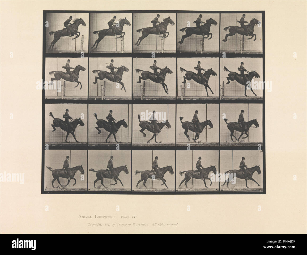 Locomotion exhibit hi-res stock photography and images - Alamy