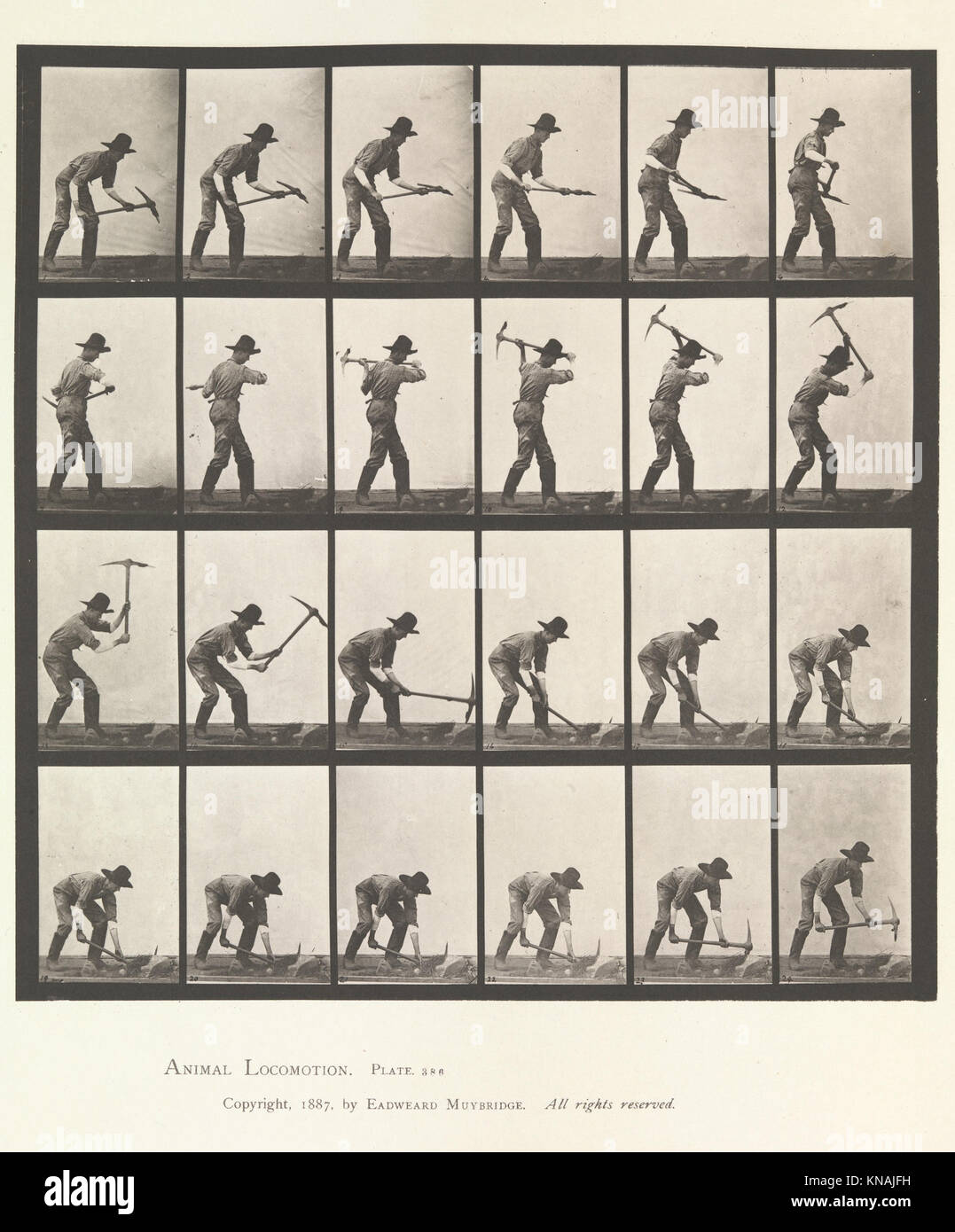 Electro-photographic study of animal and human movements, examining men and women in draped ...