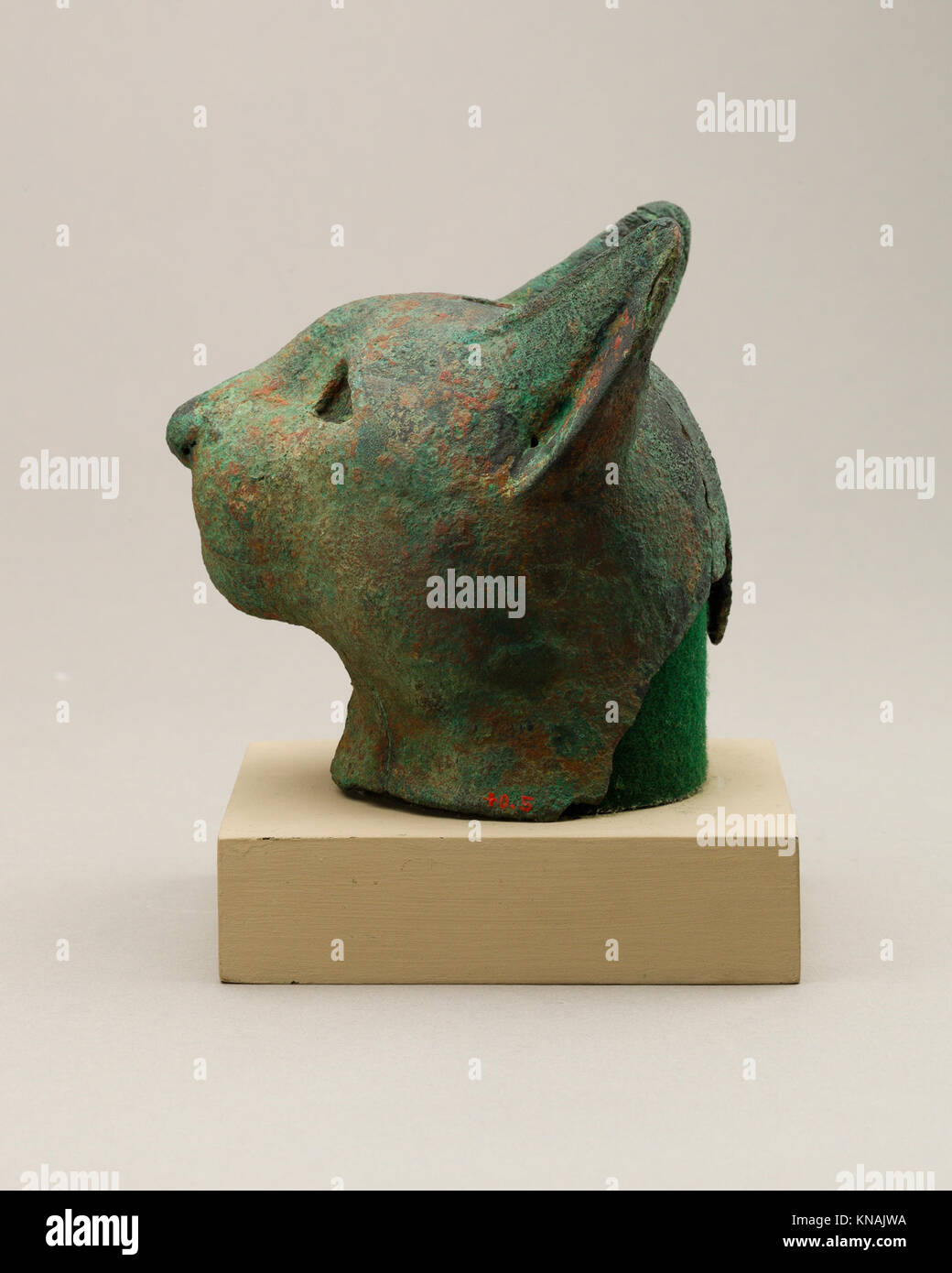 This ancient head of a cat, carved with detailed features, exemplifies ...