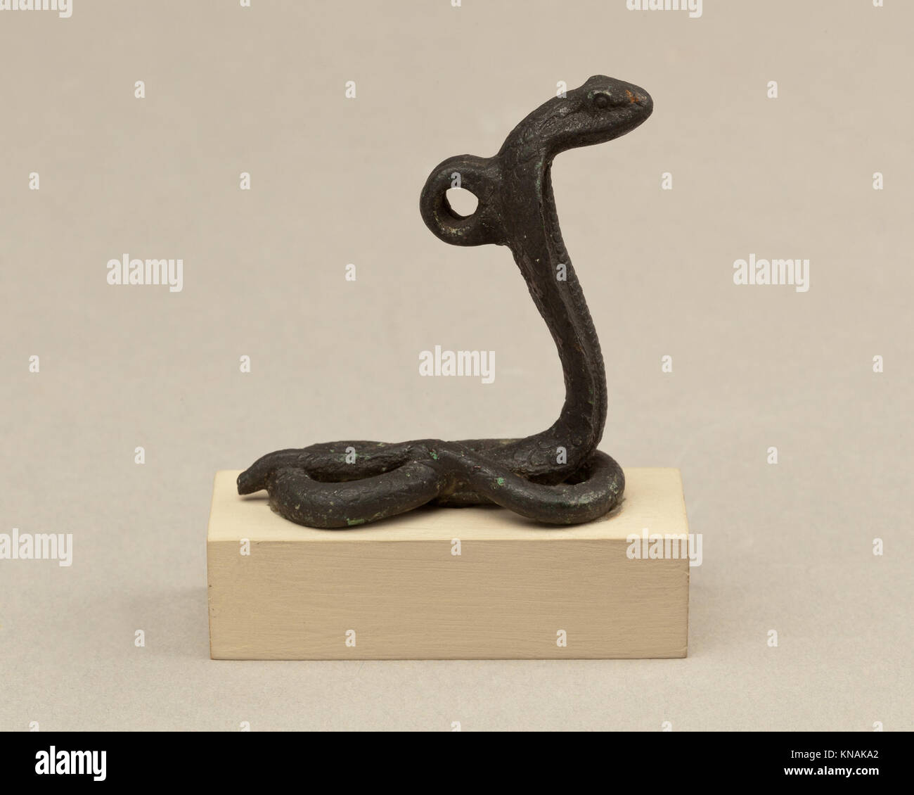 Rearing serpent hi-res stock photography and images - Alamy