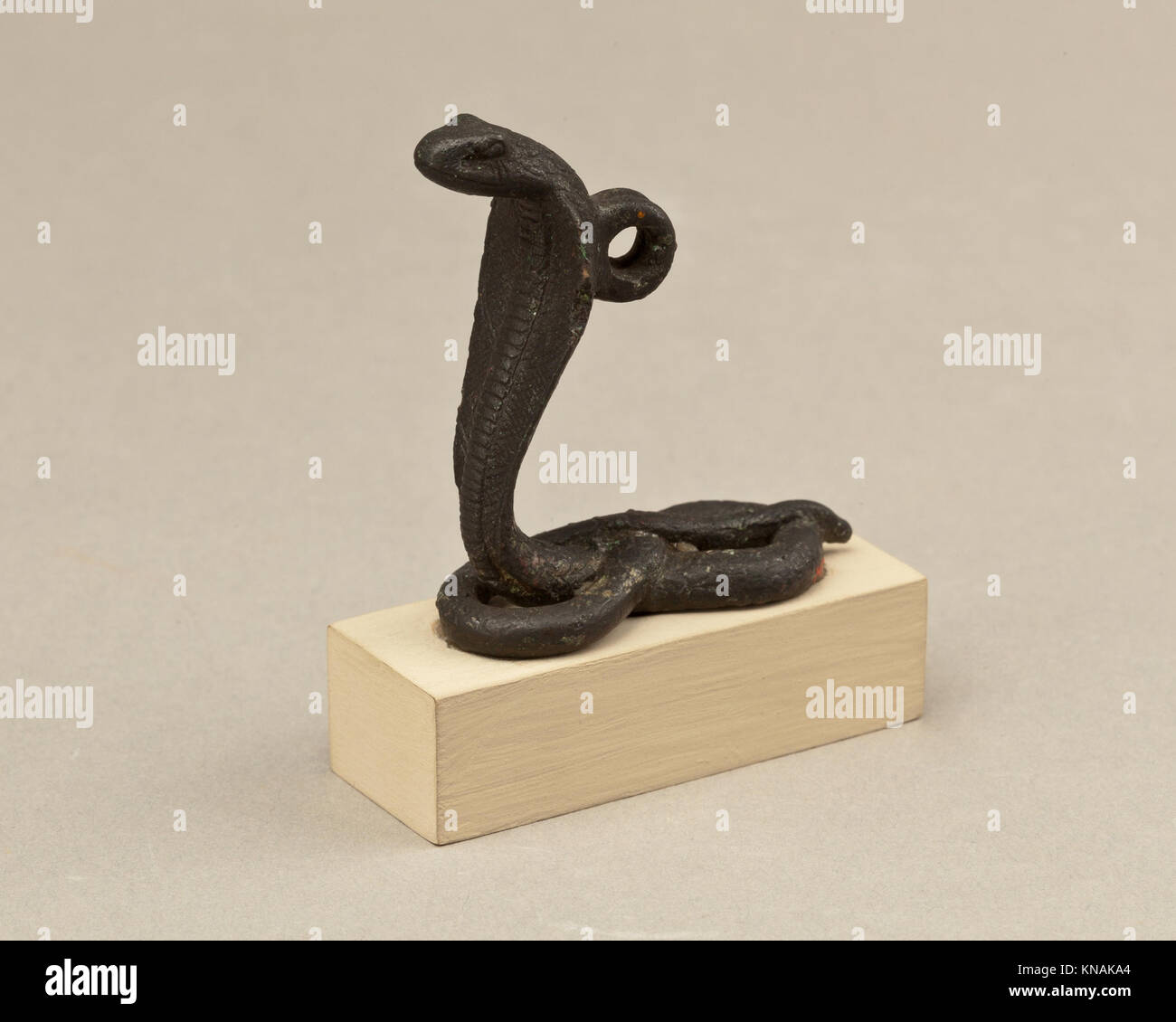 Rearing cobra hi-res stock photography and images - Alamy