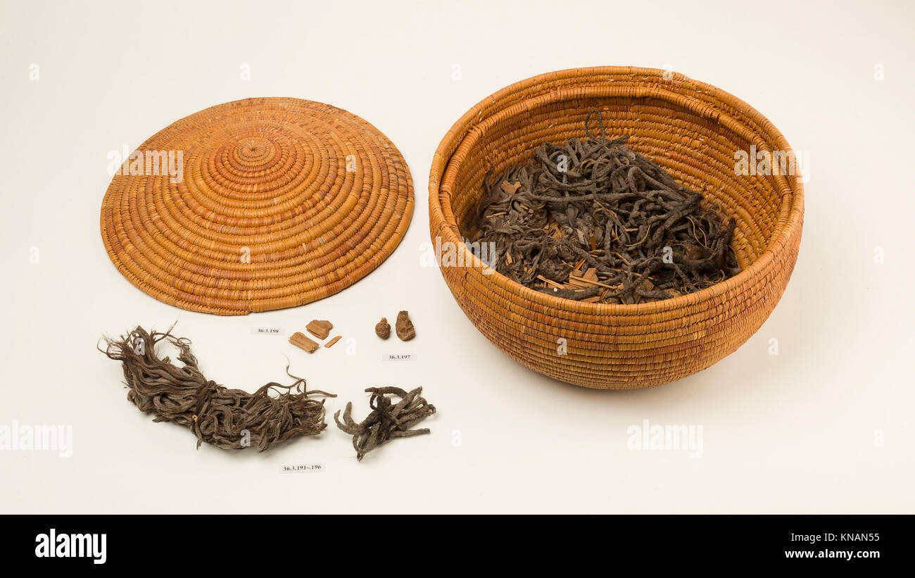 This collection of 23 plant tubers, part of the MET collection, offers ...