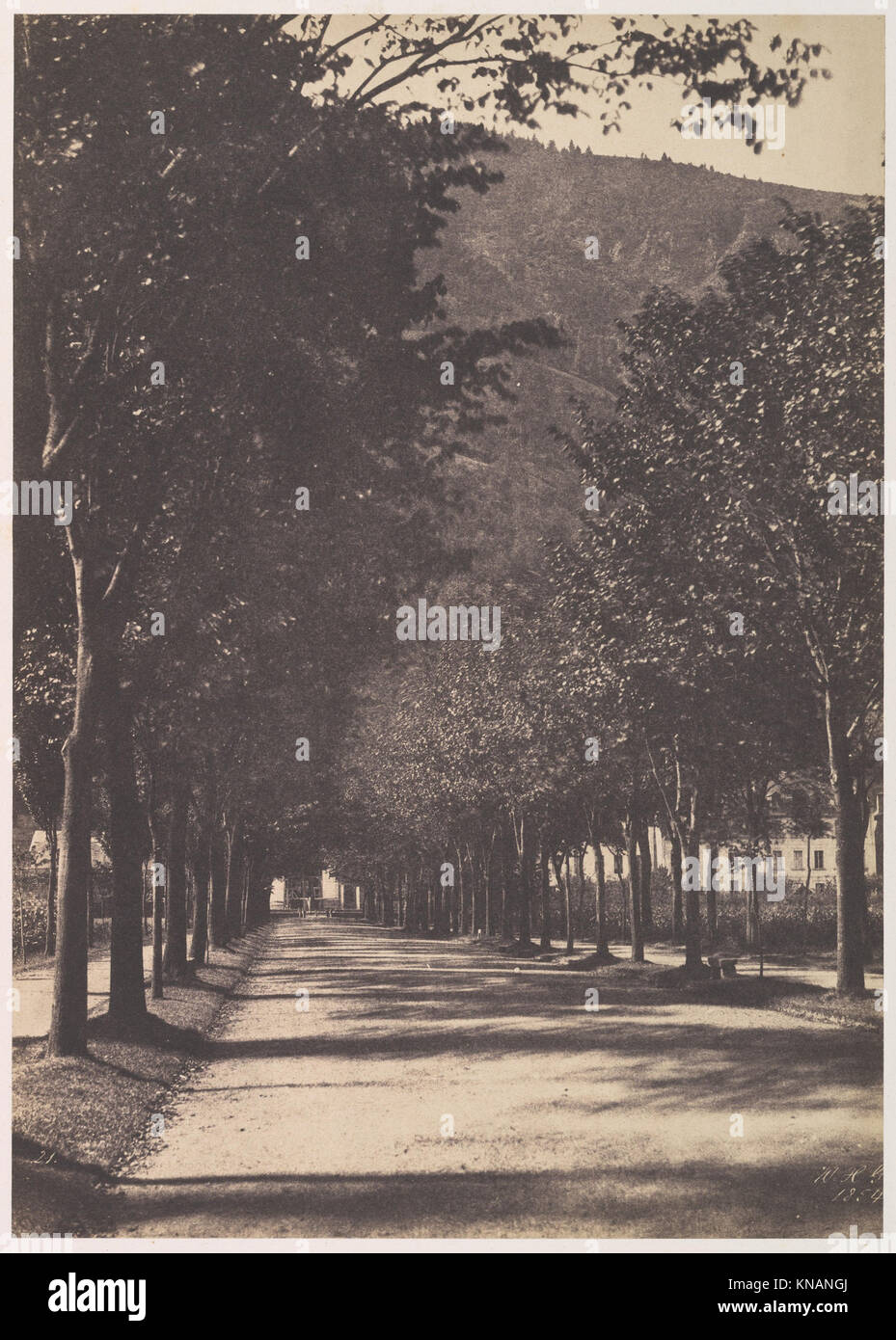 This artwork, depicting a collection of trees, is part of The ...