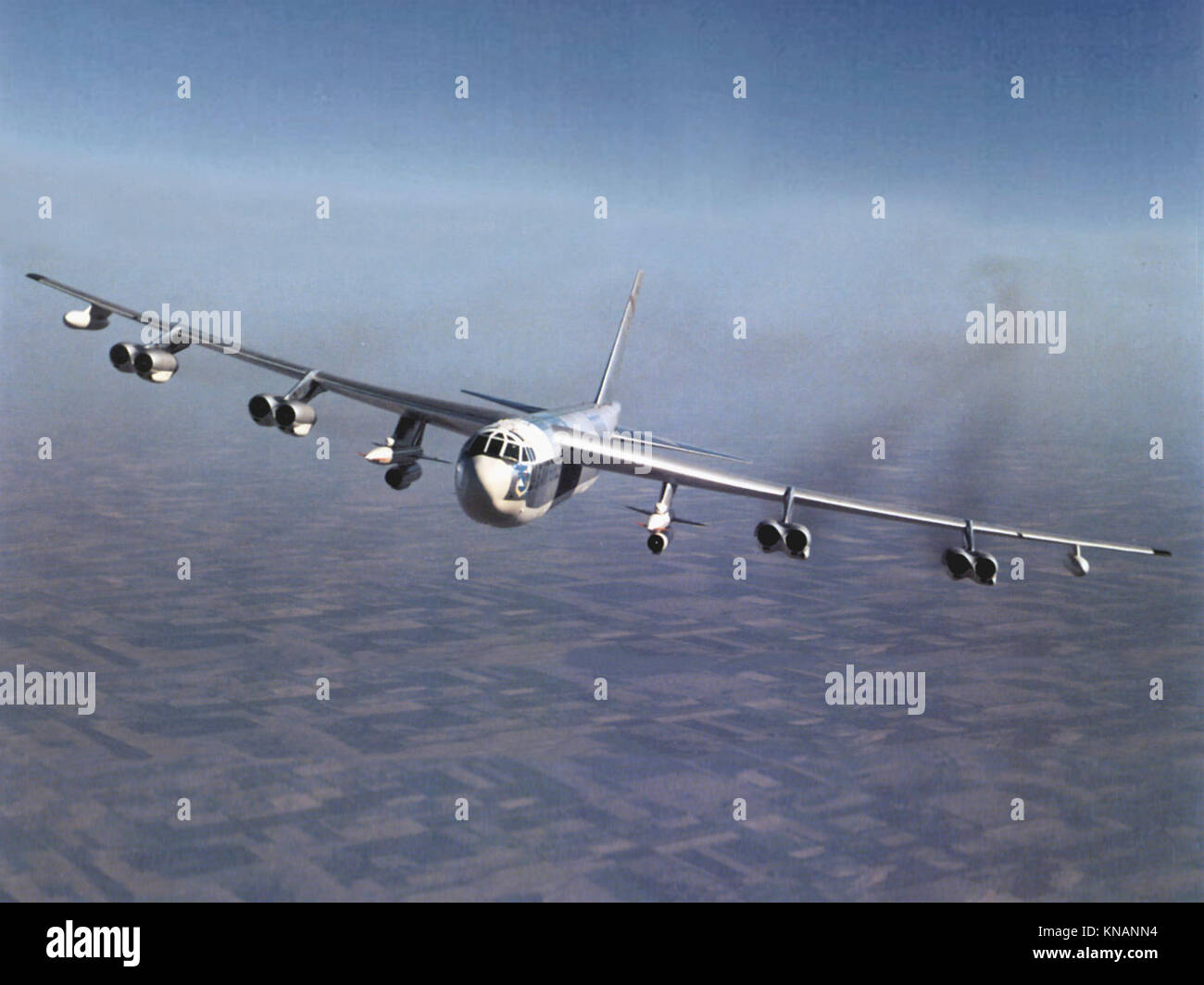 North american gam 77 hound dog hi-res stock photography and images - Alamy