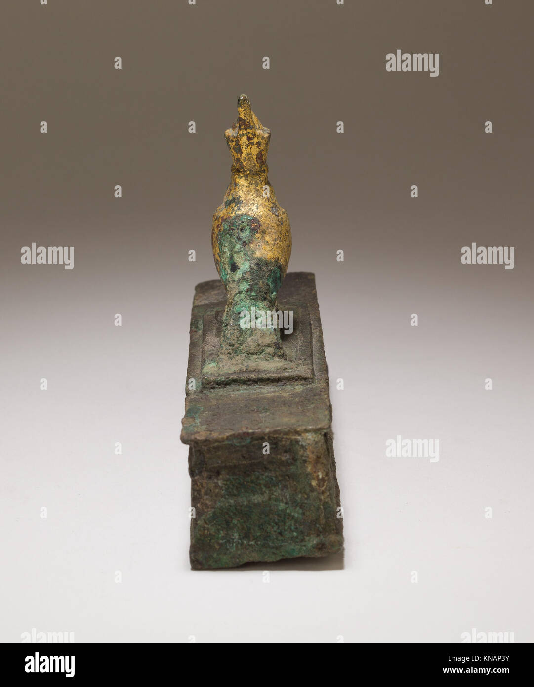 Falcon shaped hi-res stock photography and images - Alamy