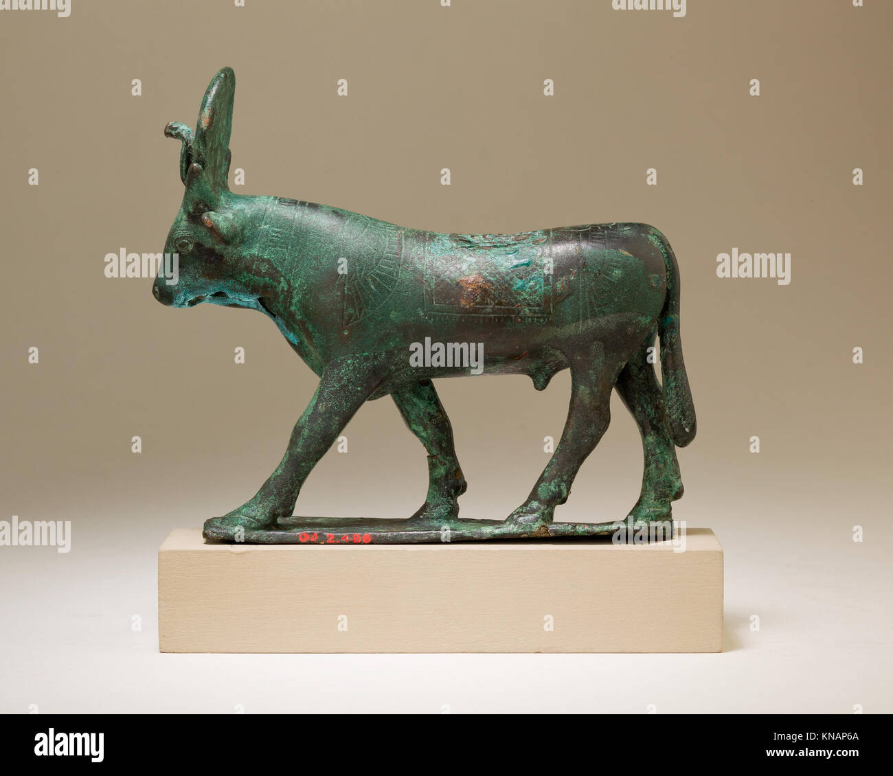 Apis, an ancient Egyptian sacred bull, was venerated as a living god ...