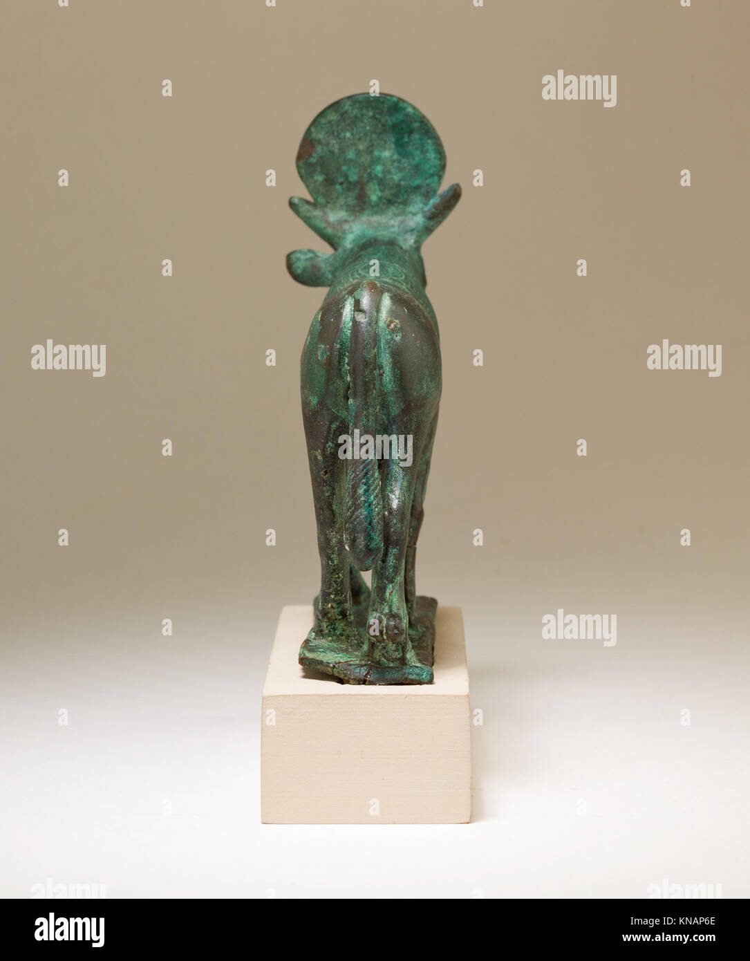 The Apis bull was a sacred animal in ancient Egypt, symbolizing the god ...