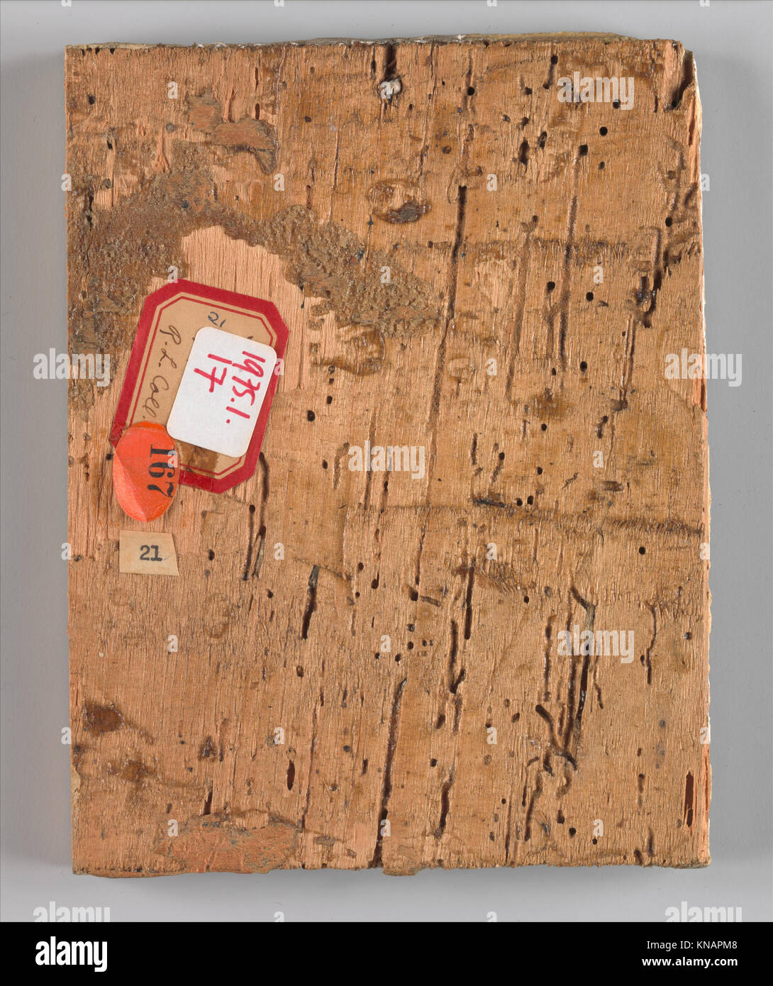 This depiction of an angel in full face showcases delicate features and ...