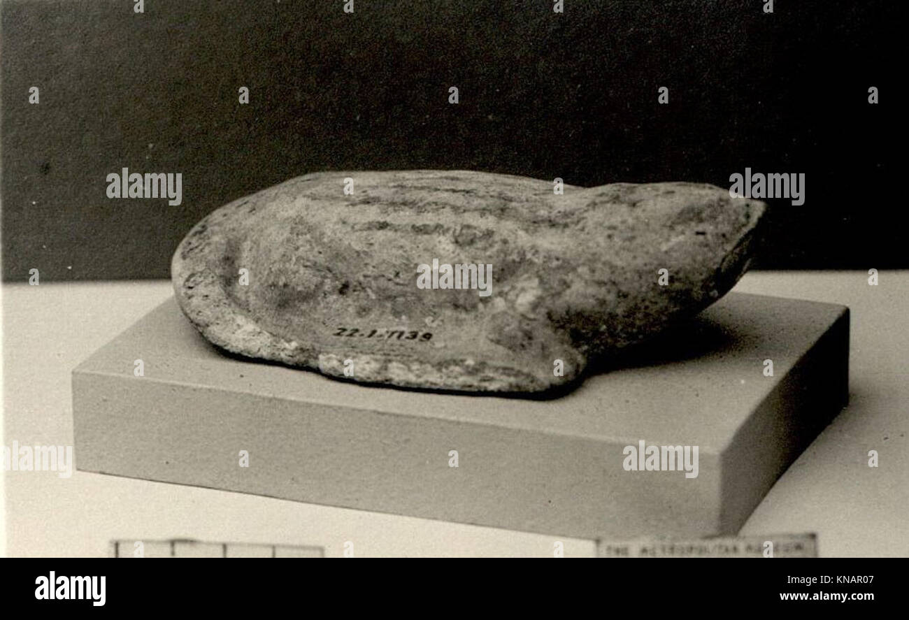 This amulet shaped like a frog reflects the symbolic use of animals in ...