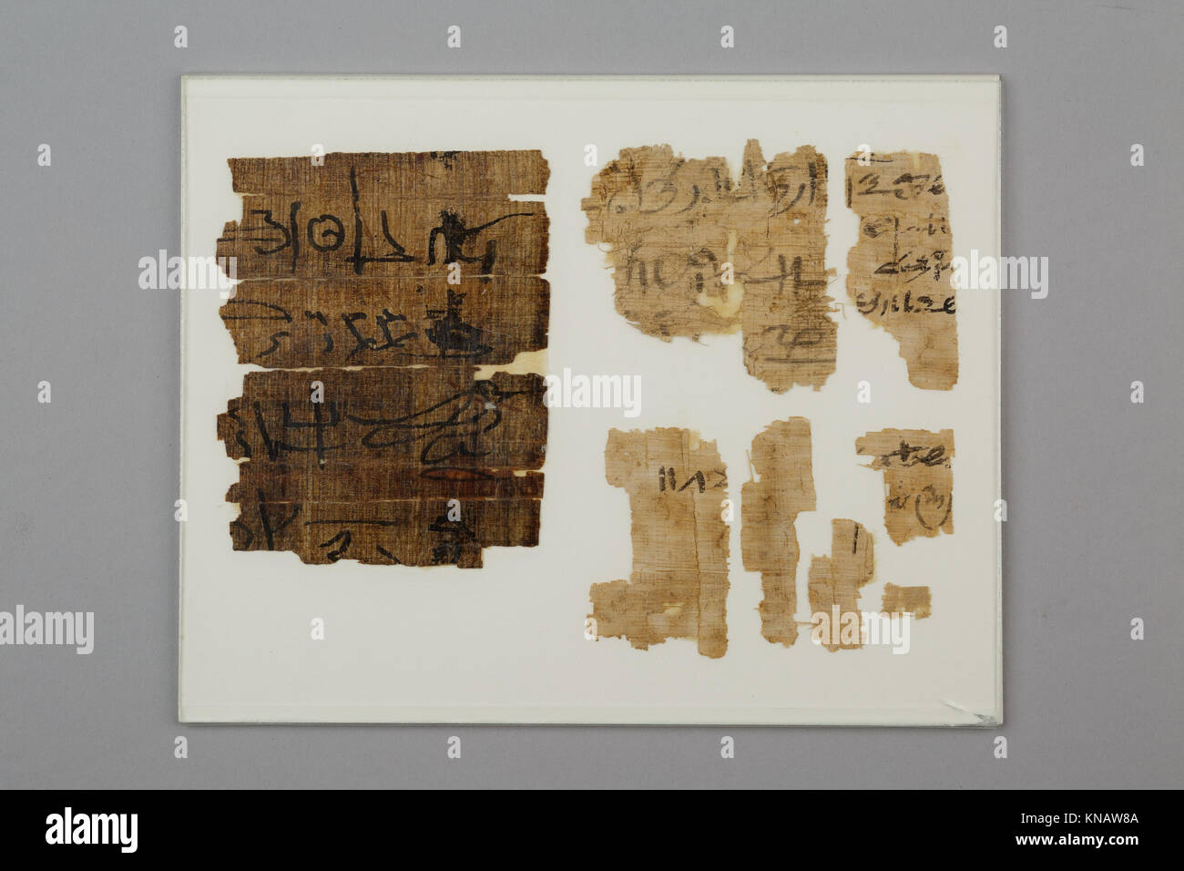 These fragments of papyrus are ancient texts preserved on papyrus ...