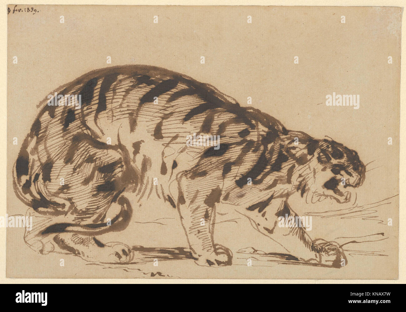 This artwork depicts a crouching tiger, capturing its dynamic posture ...