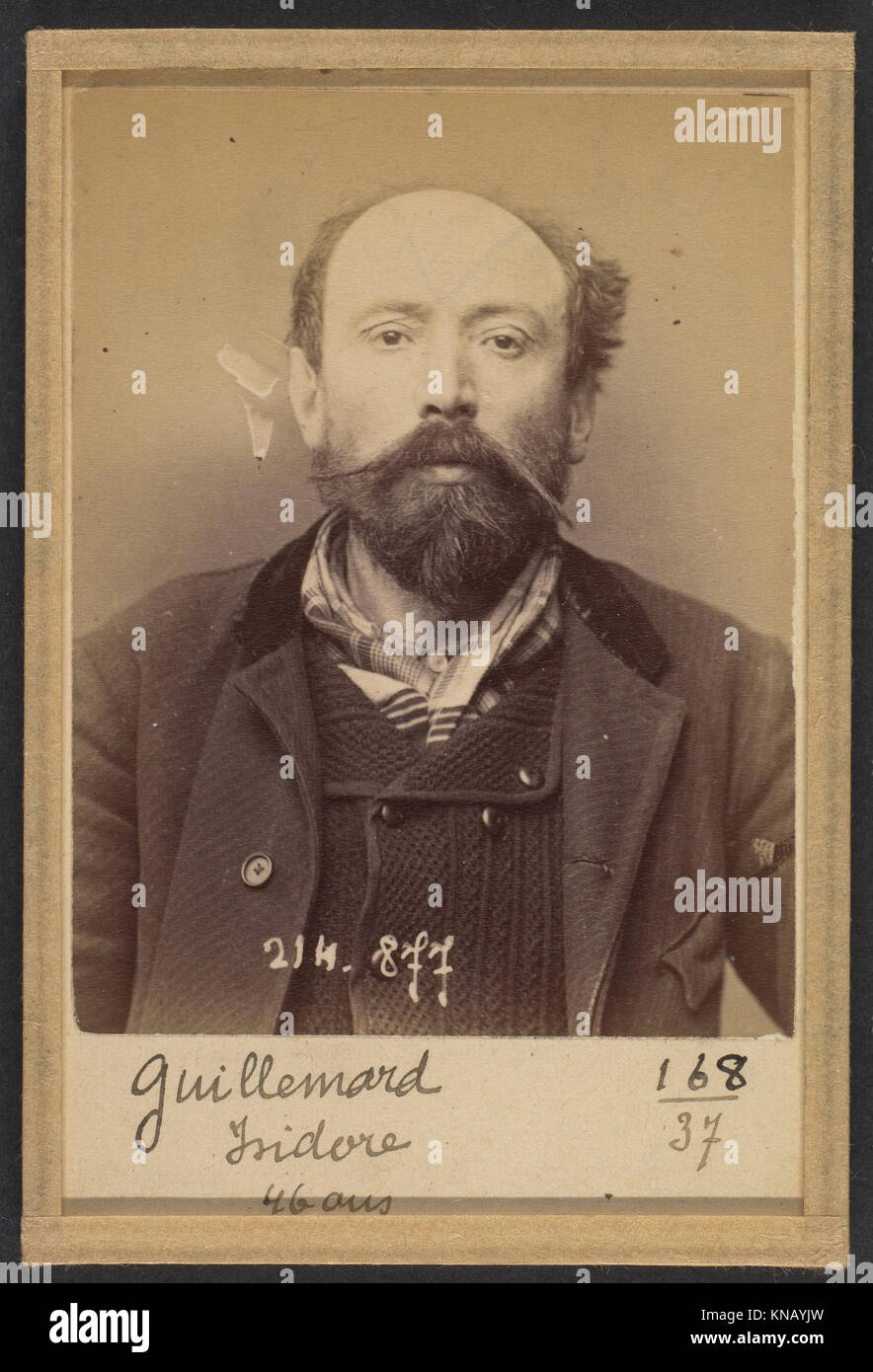 Guillemard hi-res stock photography and images - Alamy