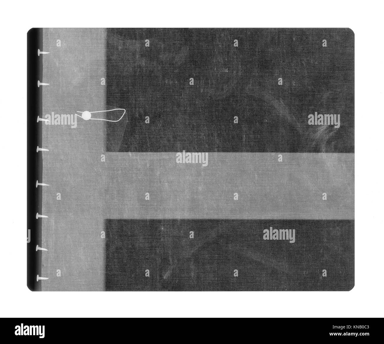 This portrait depicts Ada Rehan, an American actress known for her ...