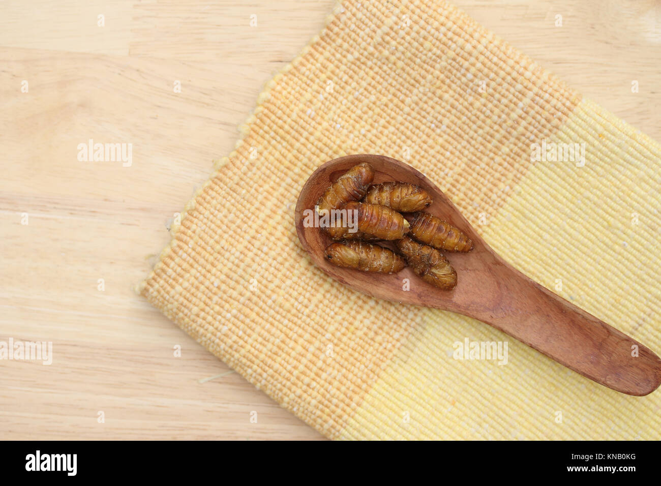 Spoon worm hi-res stock photography and images - Alamy