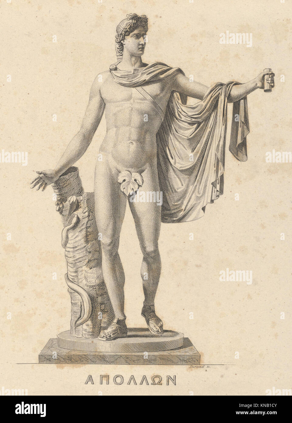 The Apollo Belvedere is a classical marble sculpture of the Greek god ...