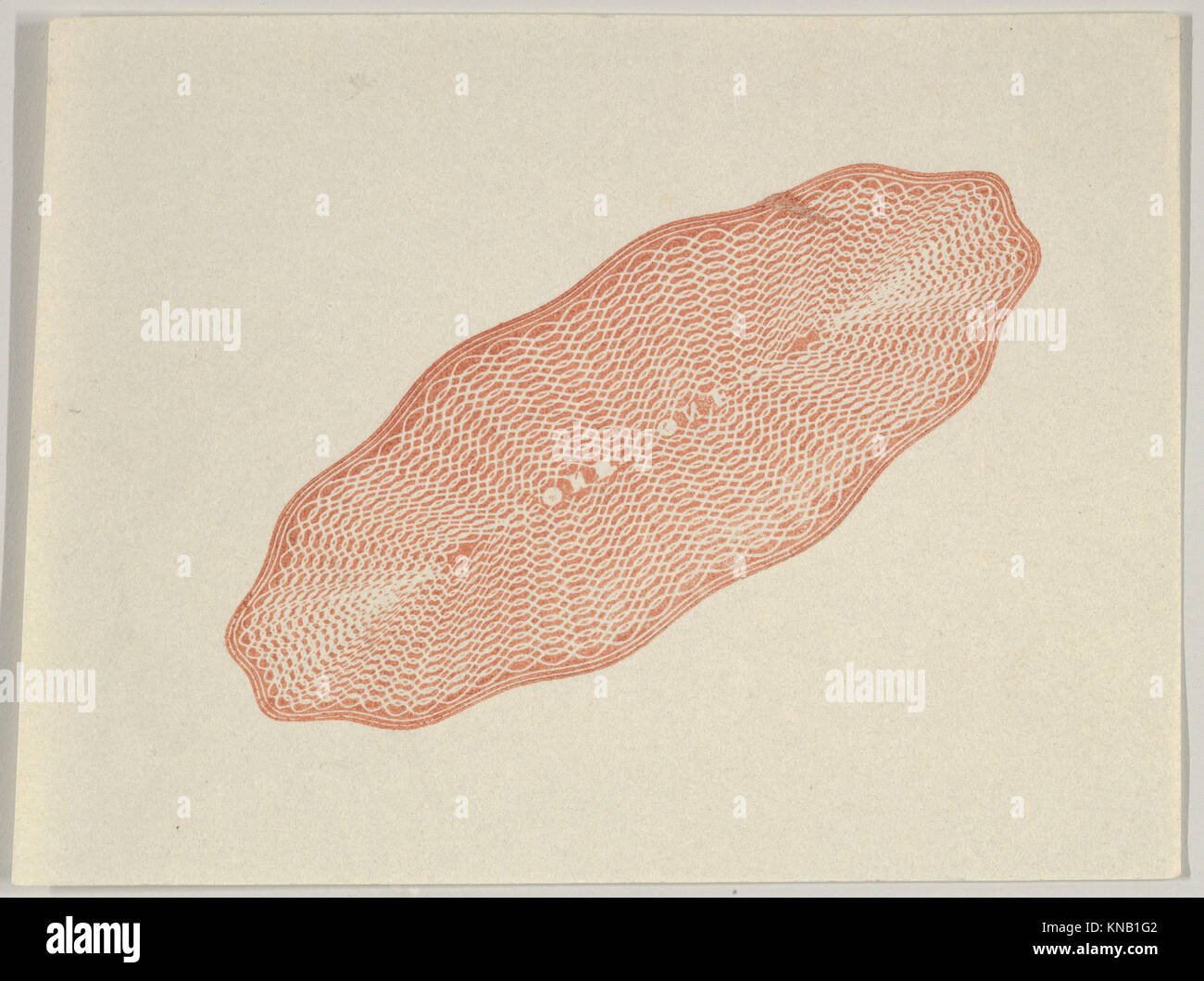 Banknote motif- lathe work ornament resembling a long flat woven basket ...