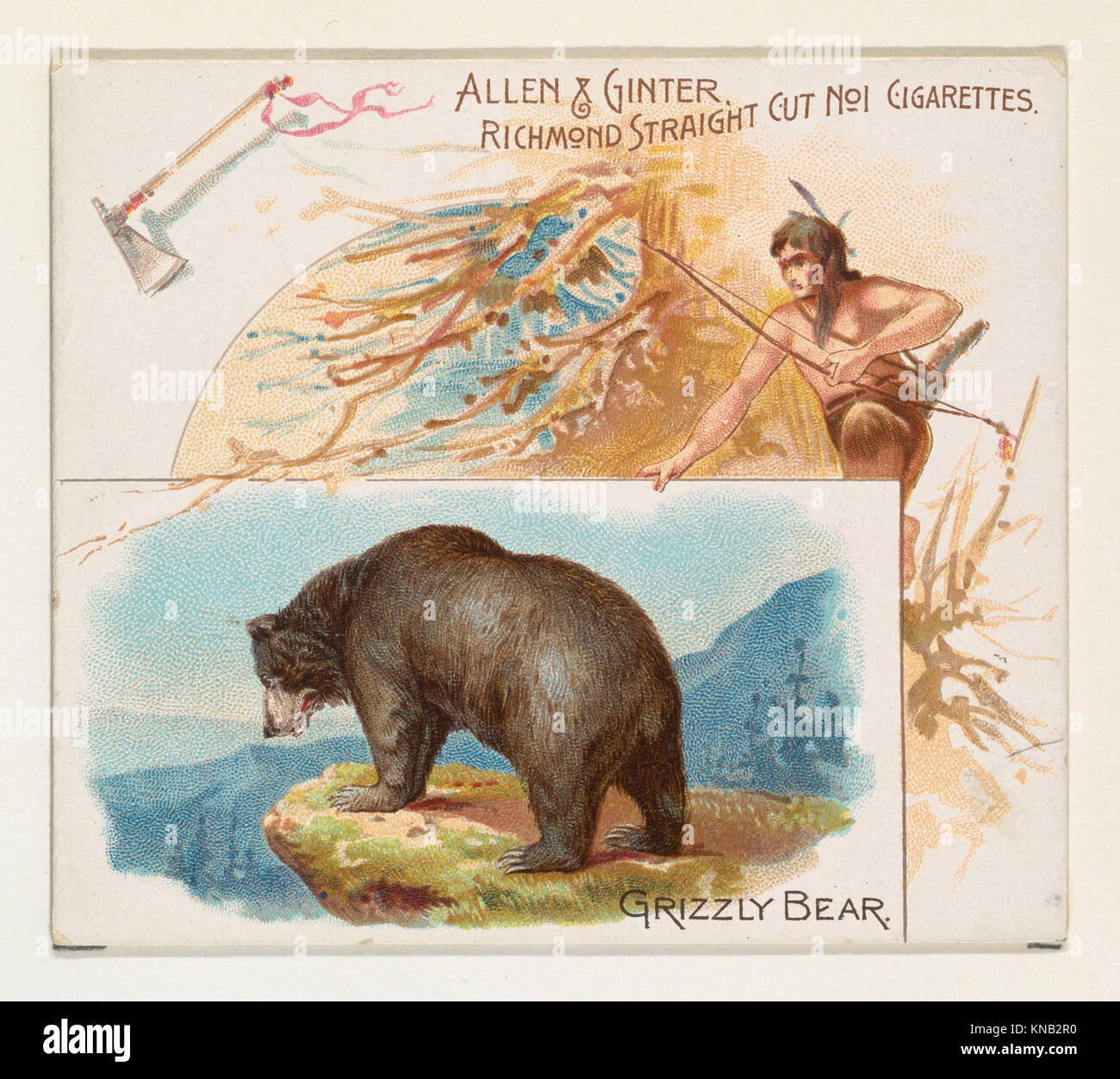 A print of a Grizzly Bear from the Quadrupeds series, issued by Allen ...