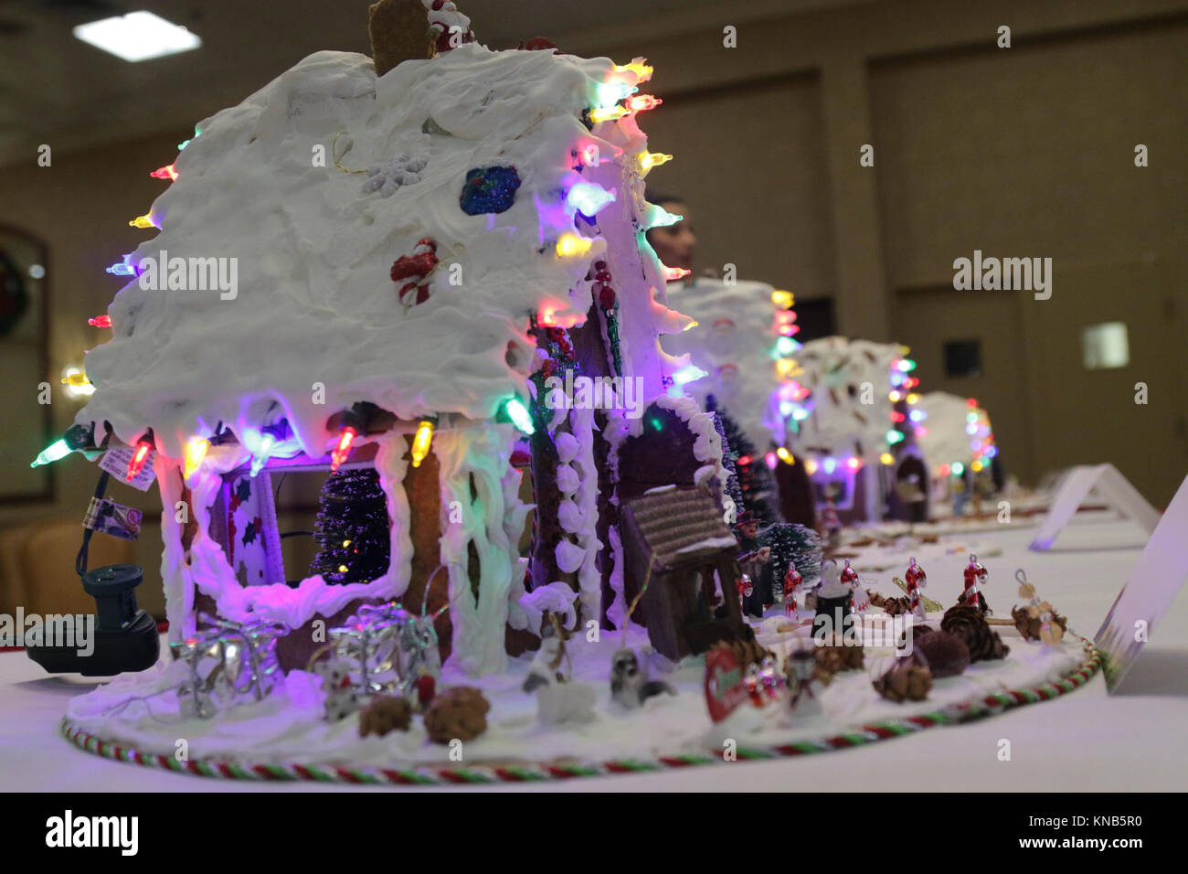 Soldiers and their Family members voted for their favorite gingerbread ...
