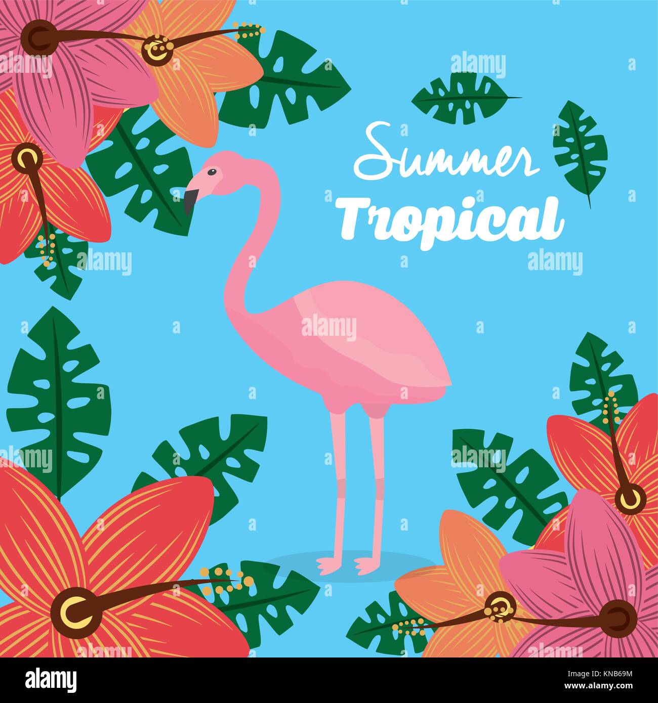 Banner pink flamingo flowers Stock Vector Images - Alamy