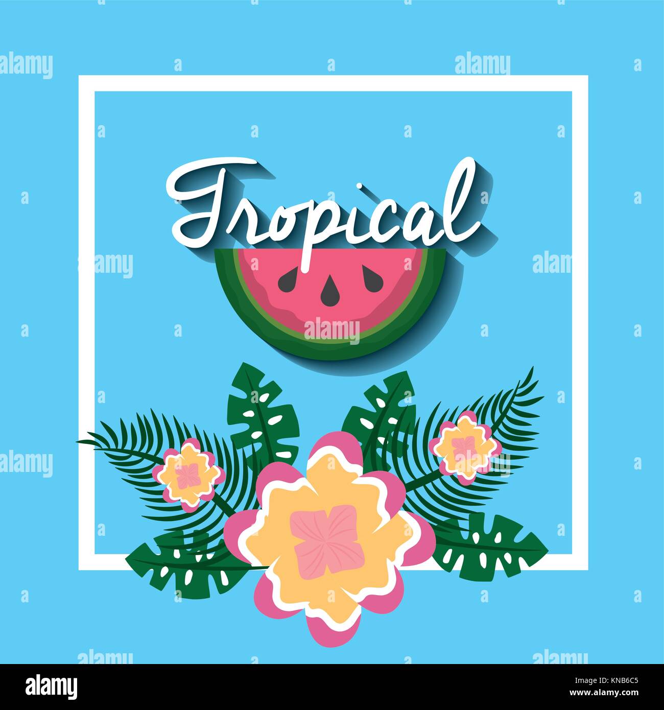 tropical watermelon fruit flower exotic natural Stock Vector Image ...