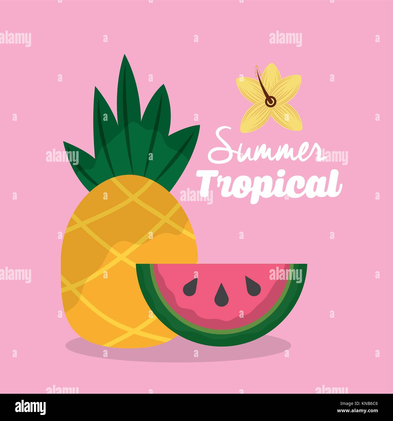 summer tropical fruits pineapple and watermelon Stock Vector Image ...