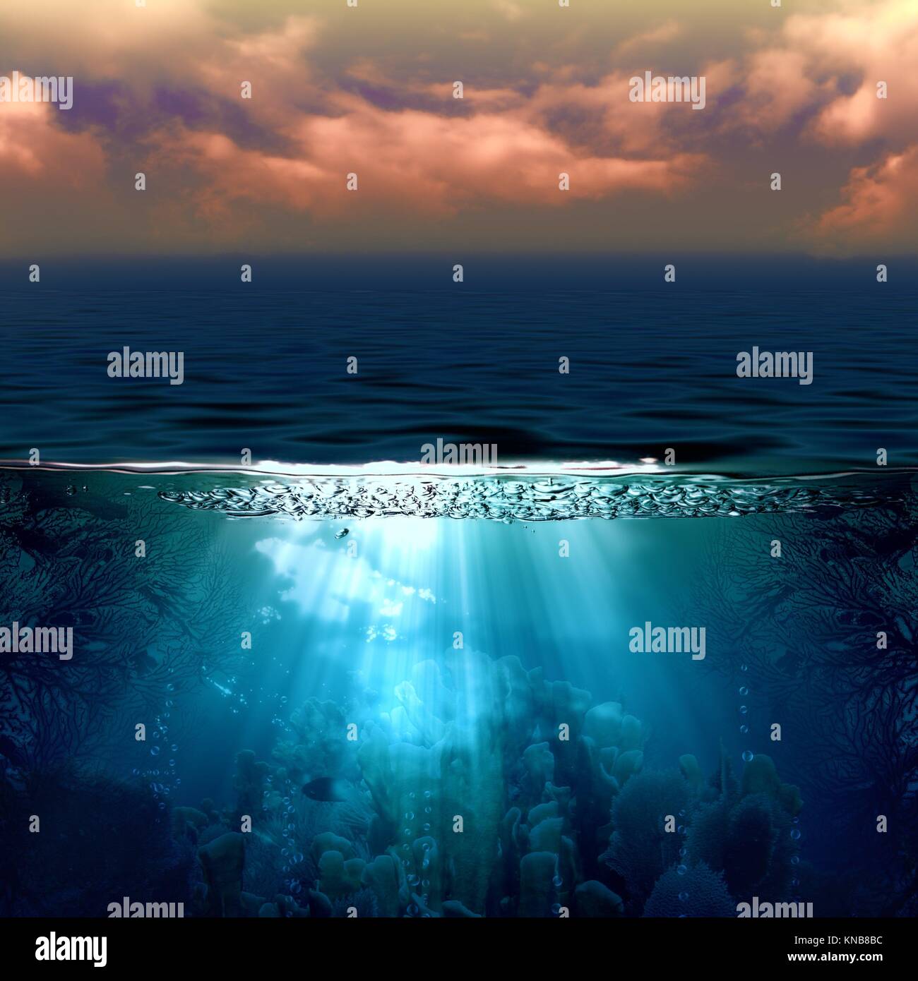Marine landscape hi-res stock photography and images - Alamy