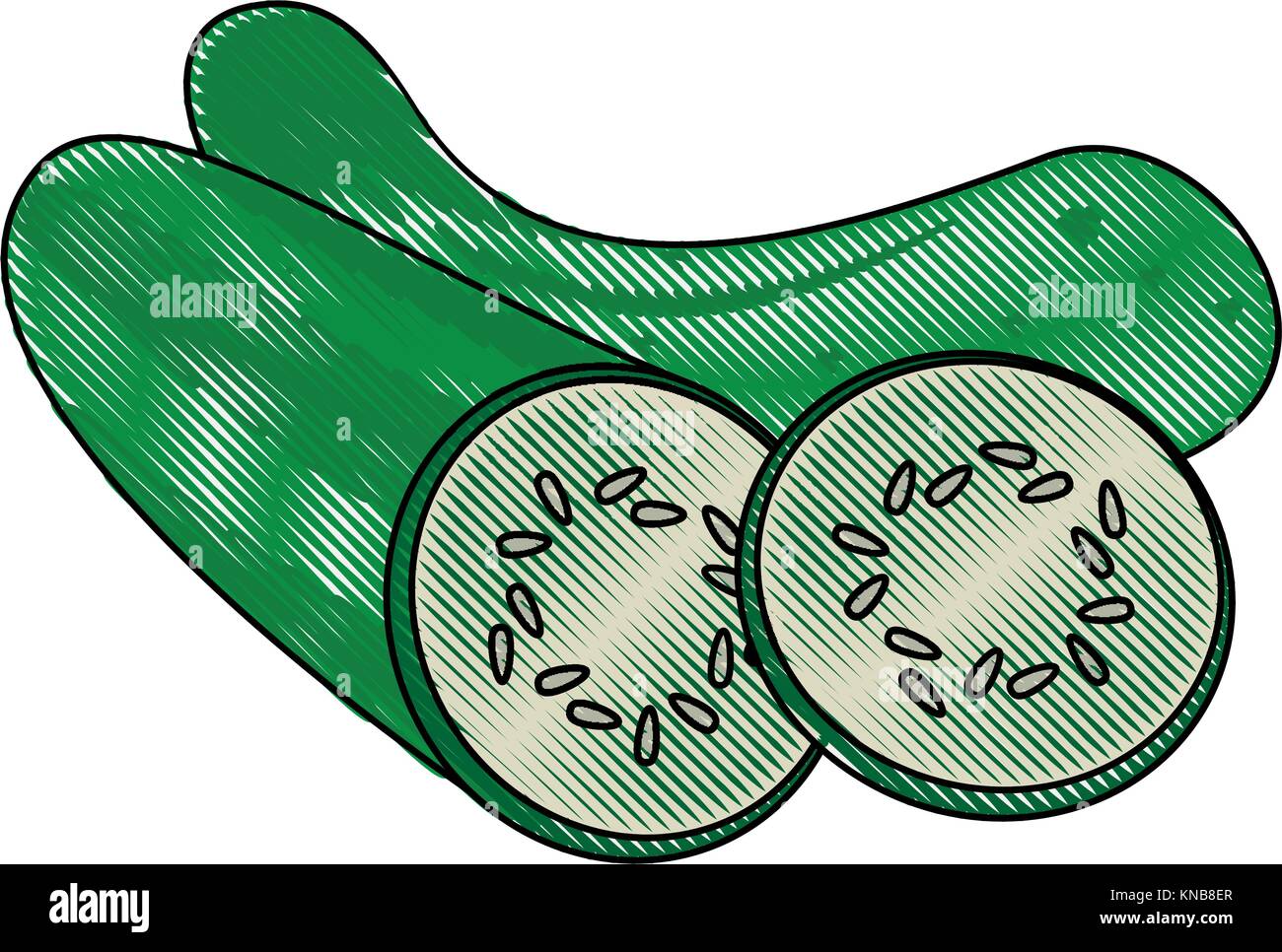 Fresh sliced cucumber Stock Vector Image & Art - Alamy