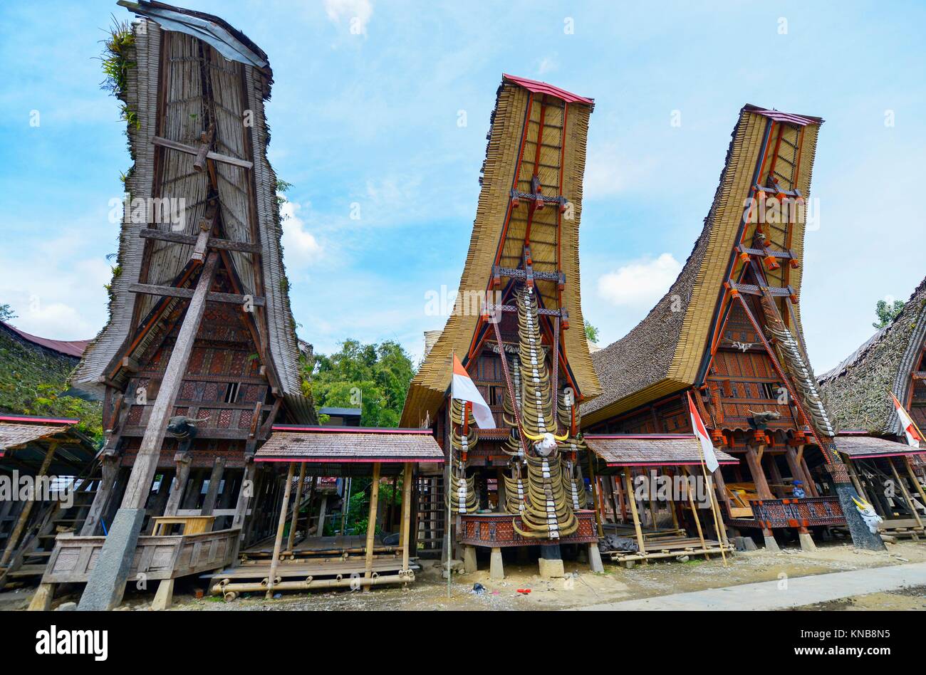 Tongkonan village hi-res stock photography and images - Alamy