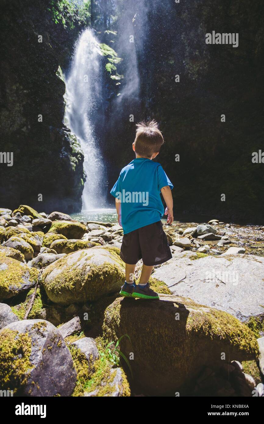Boy is standing in the forest hi-res stock photography and images - Alamy